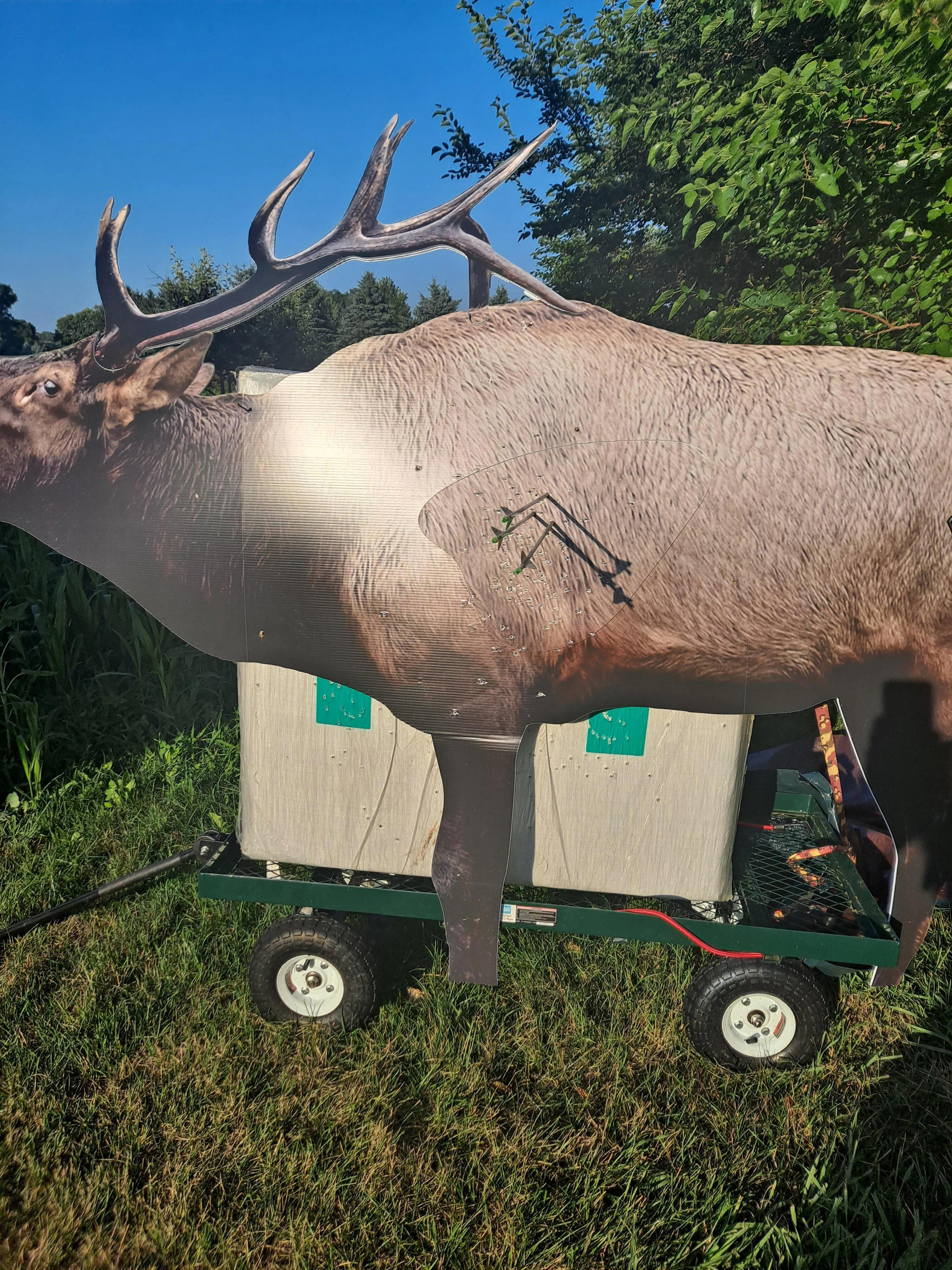 2D Bull Elk Broadside Target