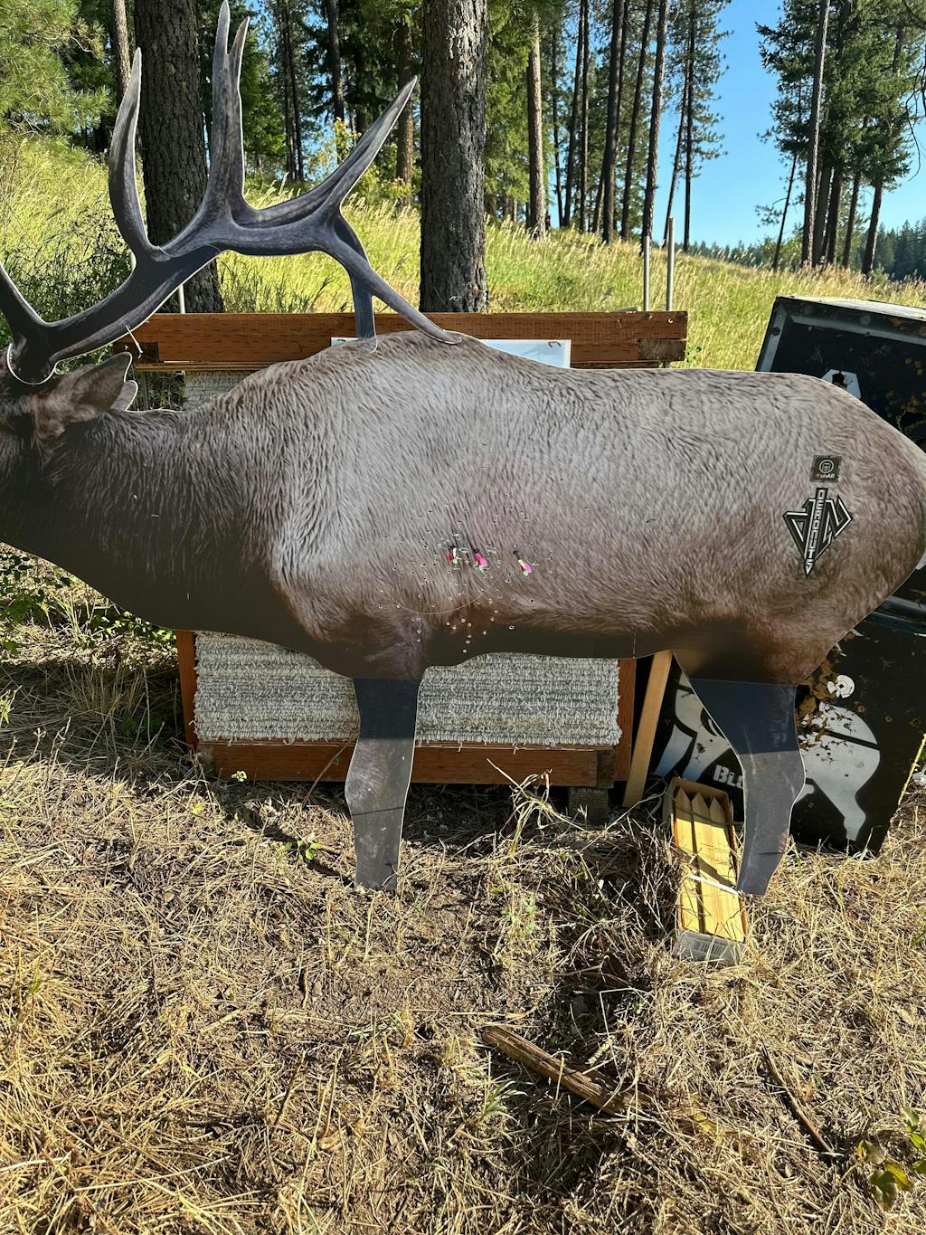 2D Whitetail "Willy" Broadside Target
