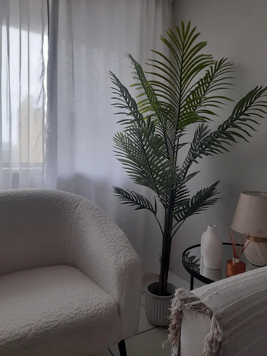 Decofurn | Palm Plant in Pot - 160cm | R749 – Decofurn Furniture