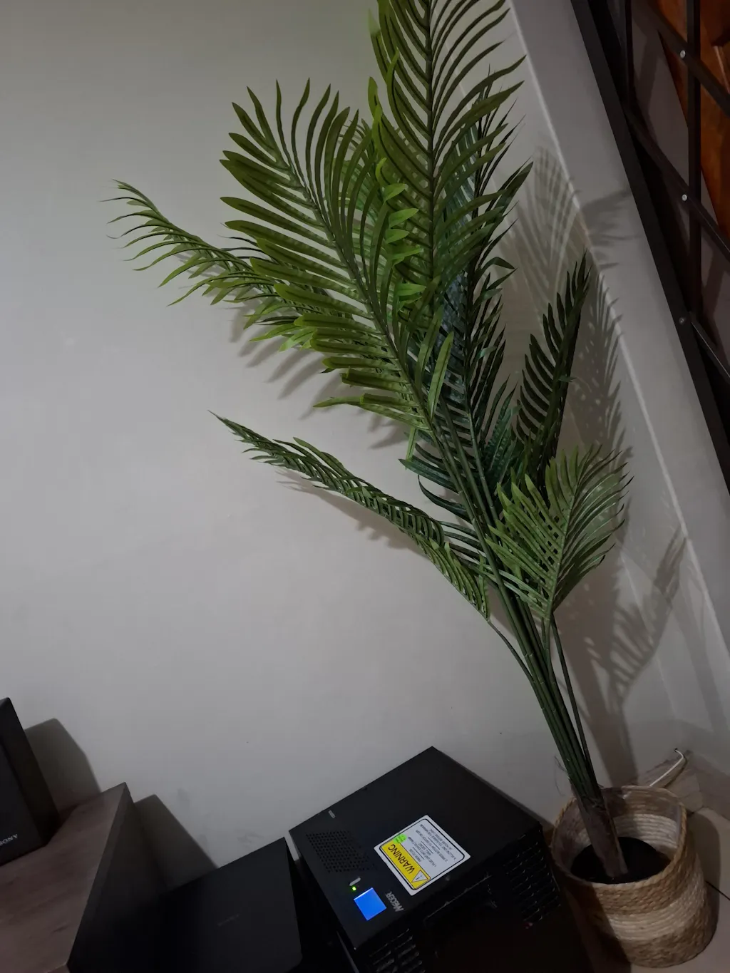 Decofurn | Palm Plant in Pot - 160cm | R637 Save 15% – Decofurn Furniture