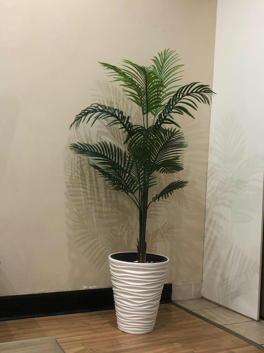 Decofurn | Palm Plant in Pot - 160cm – Decofurn Furniture