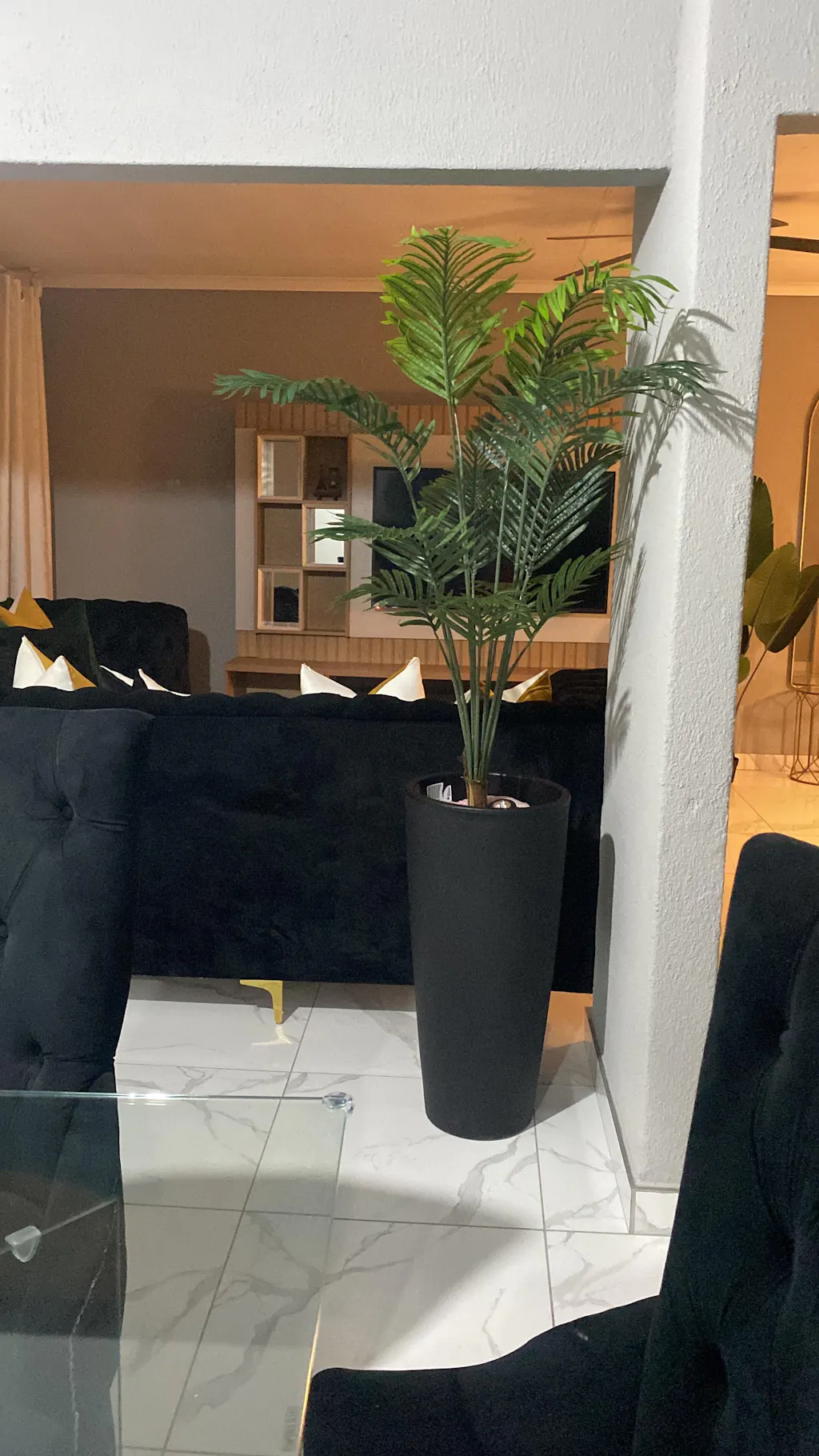 Decofurn | Palm Plant in Pot - 160cm | R699 Save 20% – Decofurn Furniture
