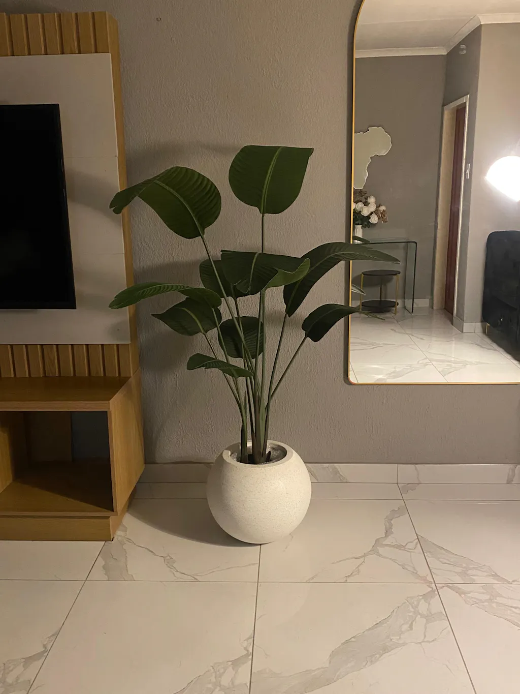 Decofurn | Birds of Paradise Plant in Pot- 160cm(h) | R749 – Decofurn ...
