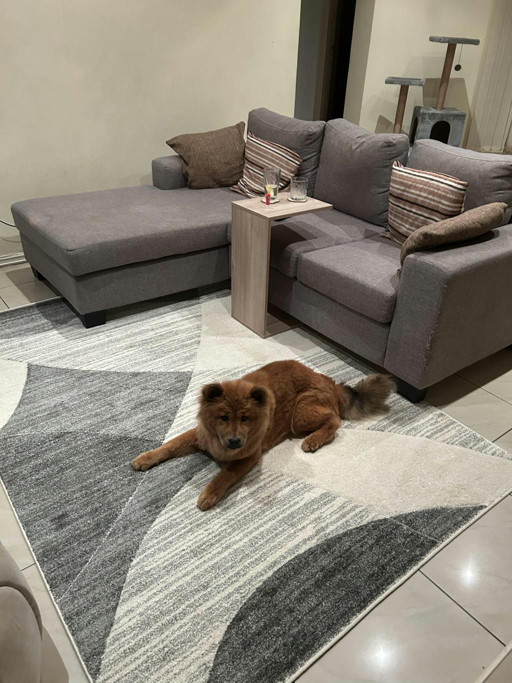 Decofurn | Dallas Da3 Rug 160x235cm – Decofurn Furniture