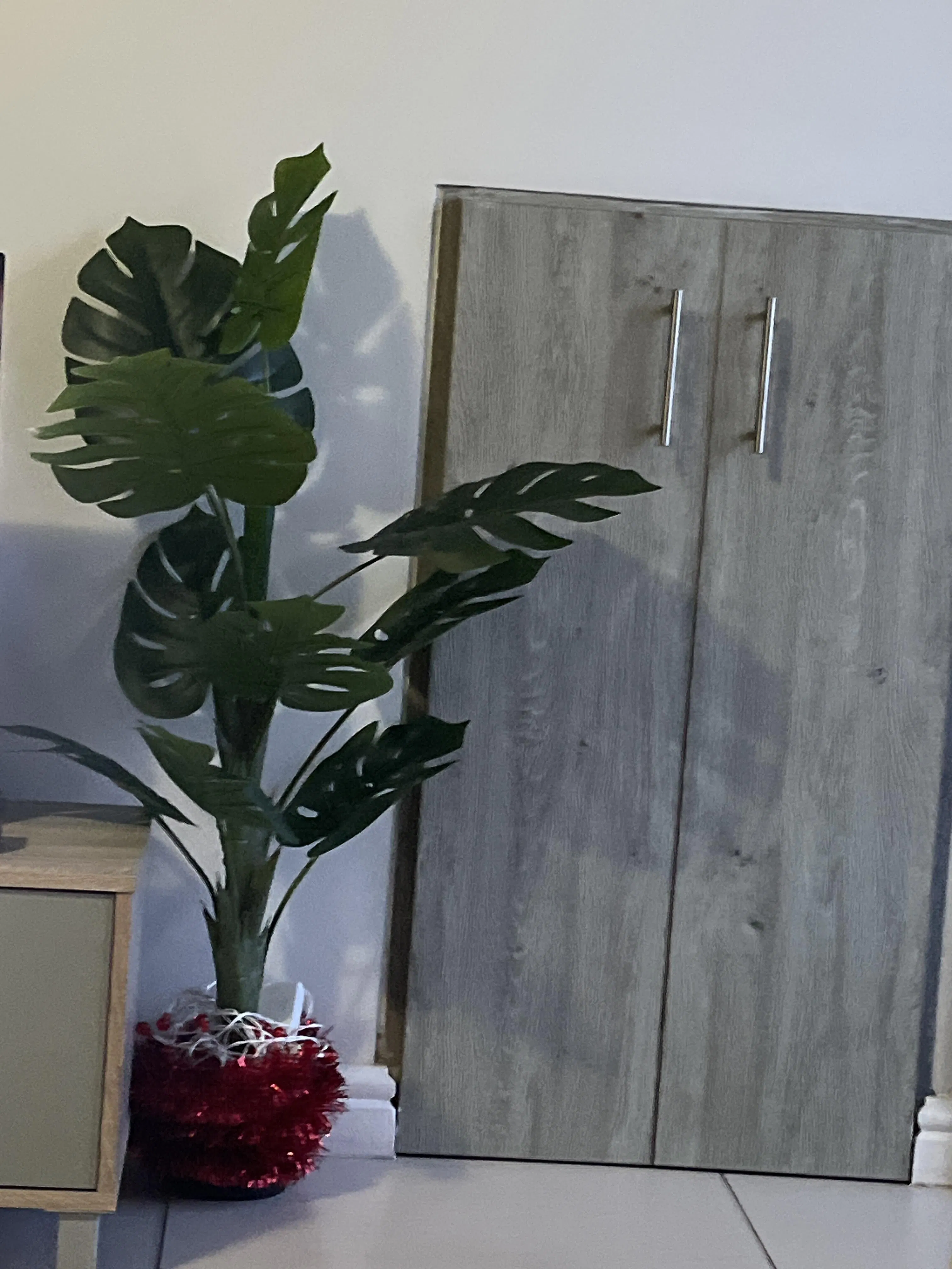 Decofurn | Delicious Monster Plant in Pot - 104cm | R429 – Decofurn ...