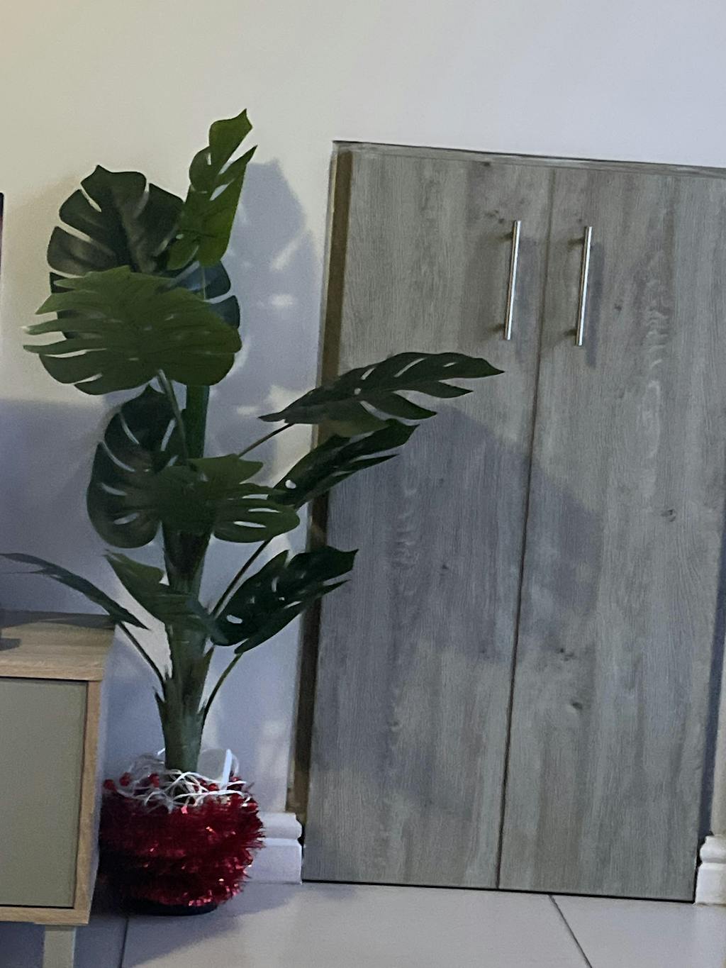 Decofurn | Delicious Monster Plant in Pot - 104cm | R429 – Decofurn ...