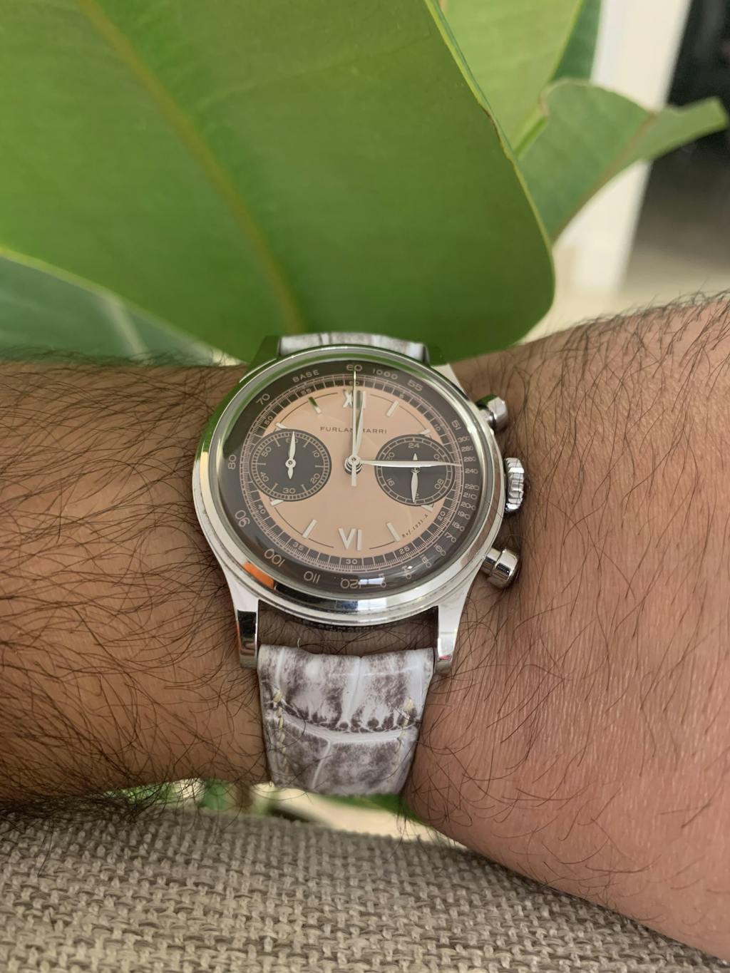 Matte Himalayan Alligator Signature (Curved) Strap – Delugs