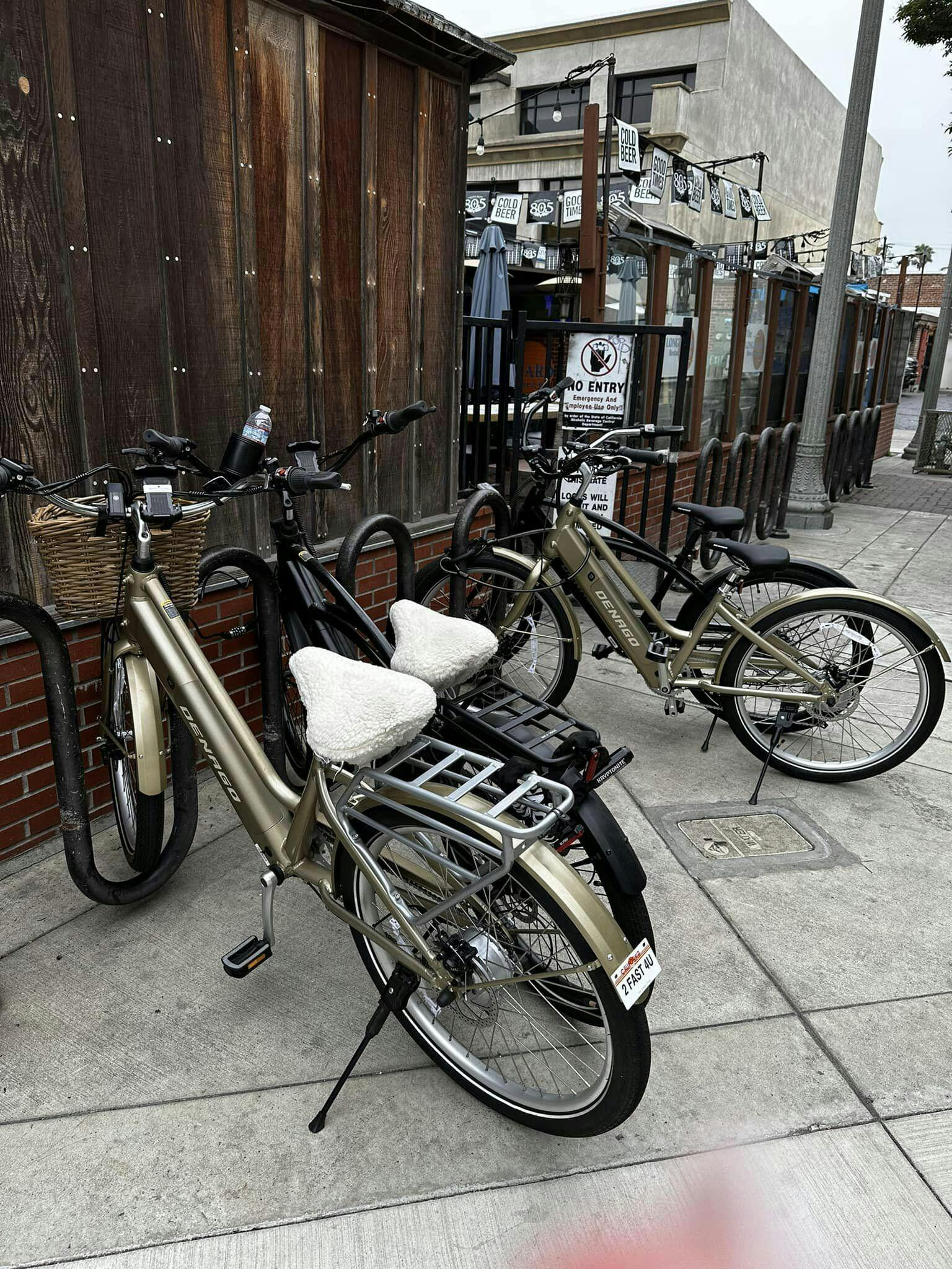 Denago Cruiser 1 Step Thru eBike | Stylish, Comfortable, Perfect for ...