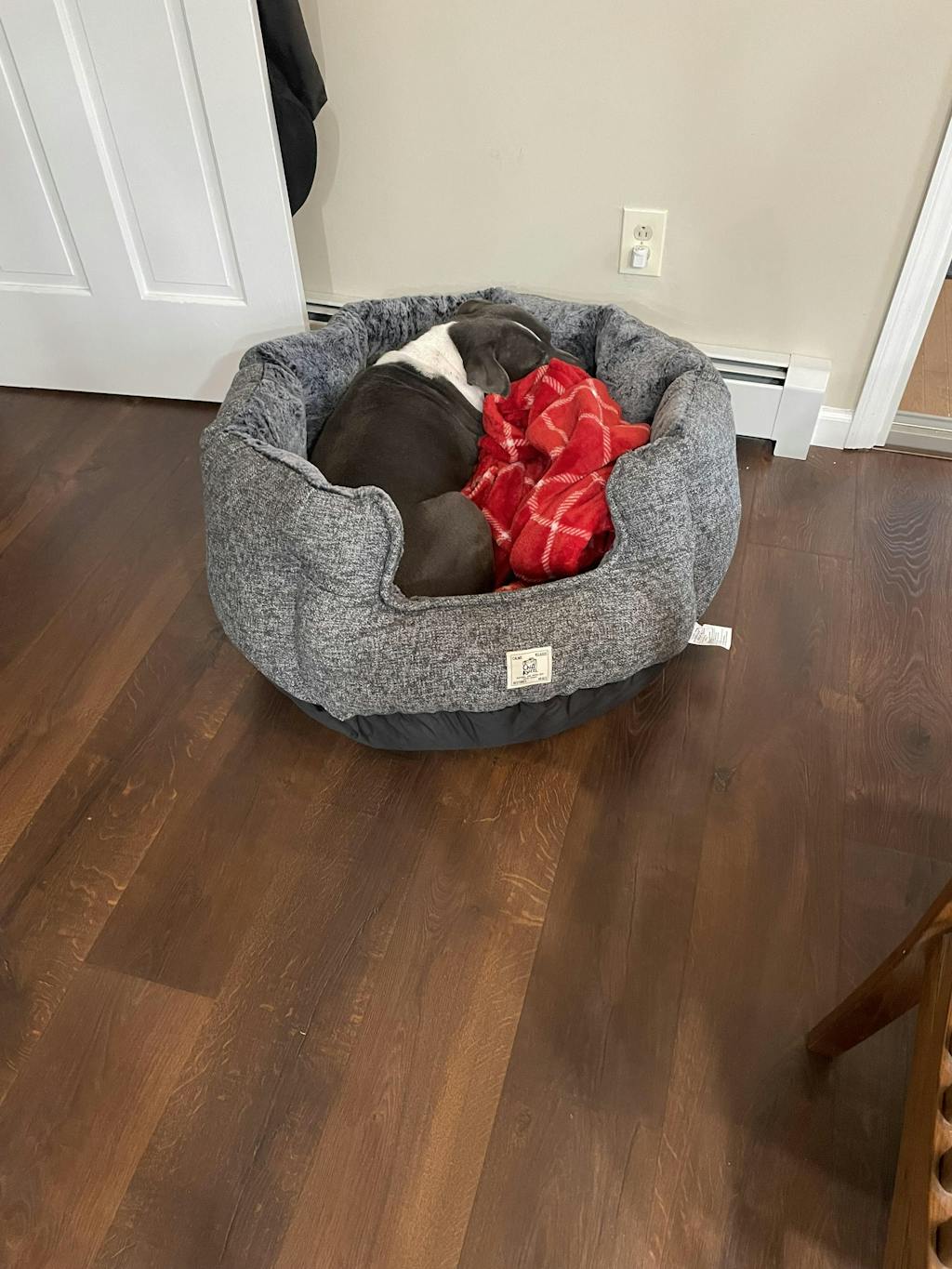 Chill Kuzzi Round Bed - DGS Pet Products