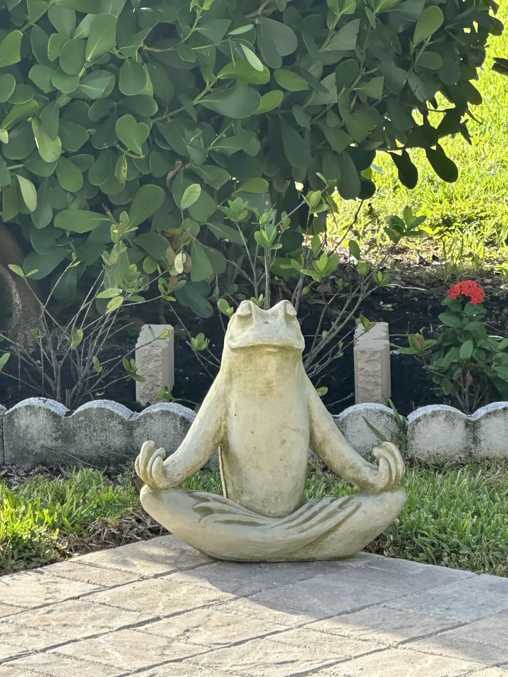 Zen Frog Garden Statue – DharmaCrafts