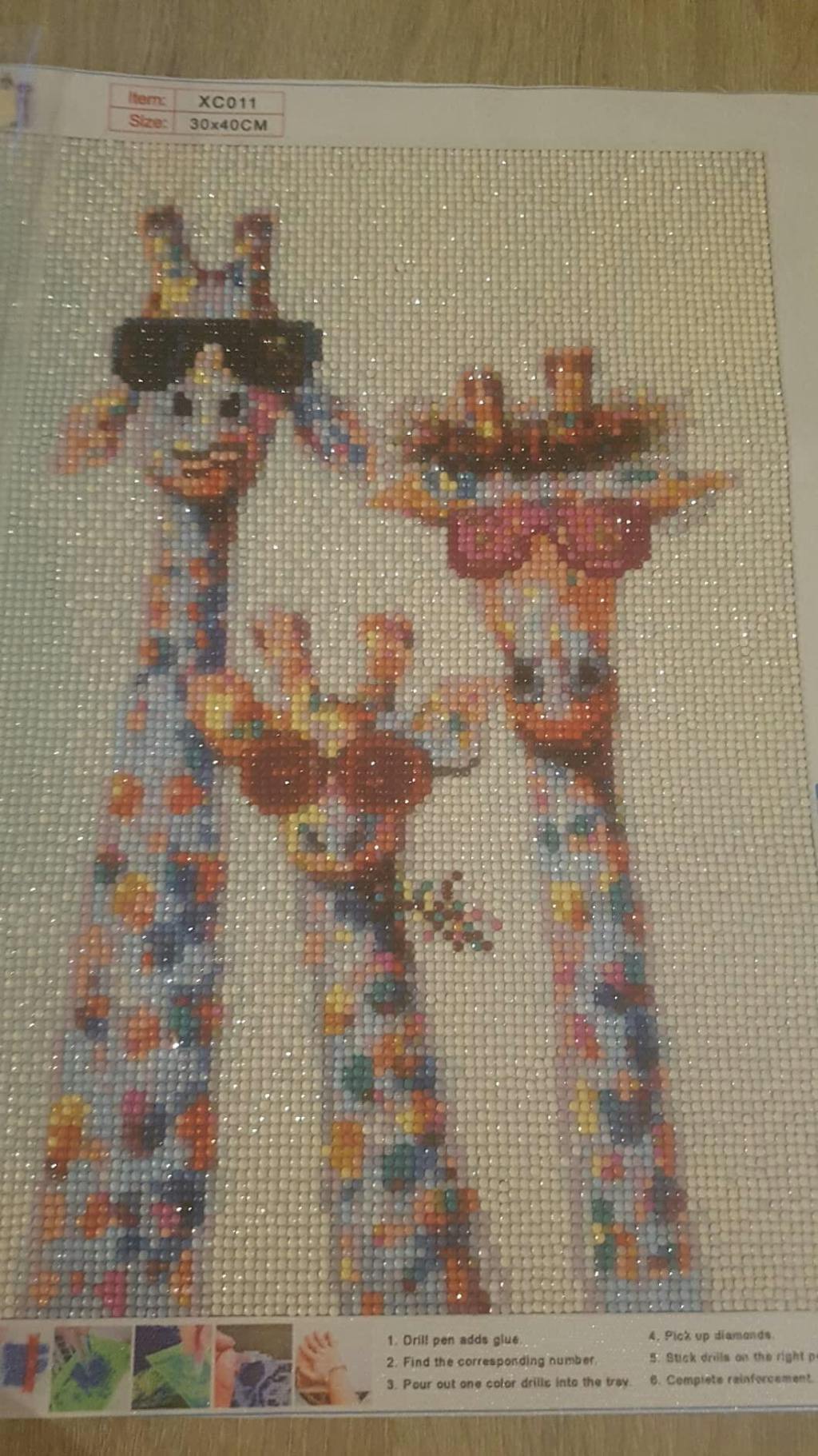 Diamond Art Paintin®