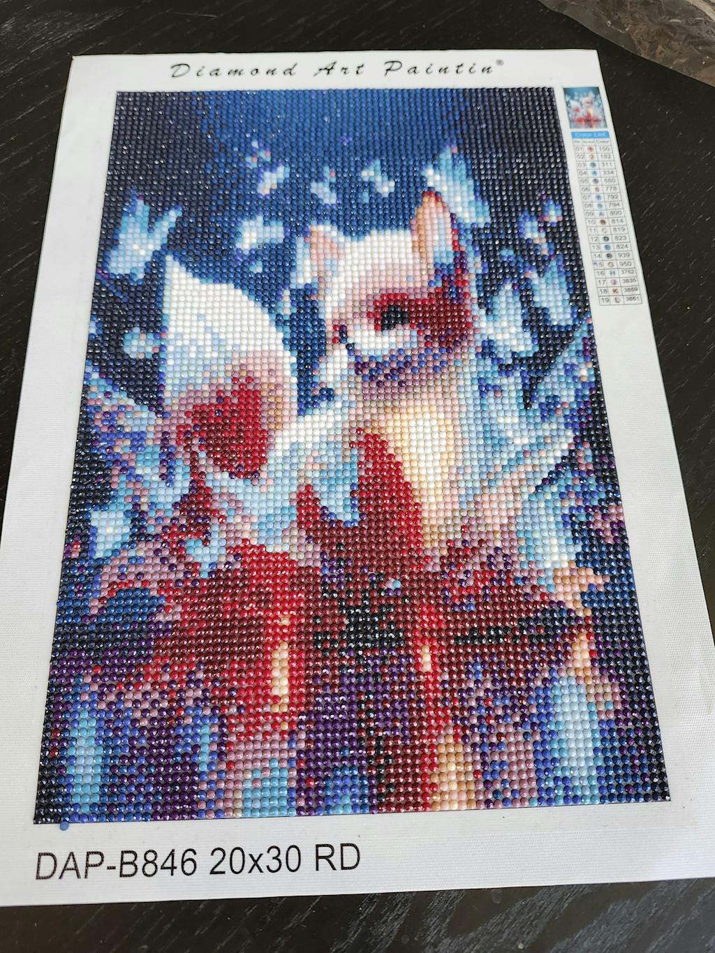 Diamond Art Paintin®