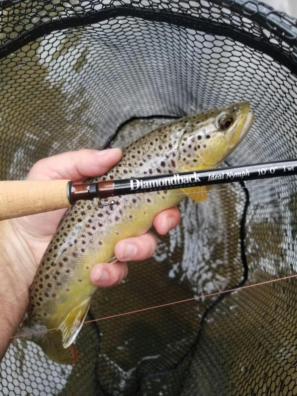 Ideal Nymph Rod – Diamondback Fly Rods