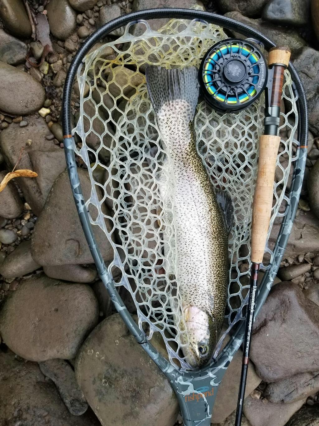 Ideal Nymph Rod – Diamondback Fly Rods