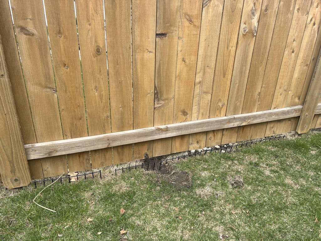 Dig Defence 10-pack Small/Medium Animal Barrier - BLACK