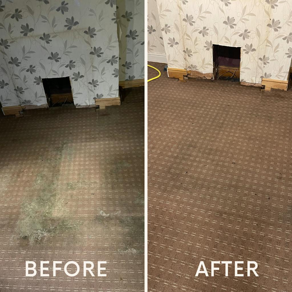 Pro Carpet Pre Spray Treatment for Synthetic Carpets High pH 10.5 (5L ...