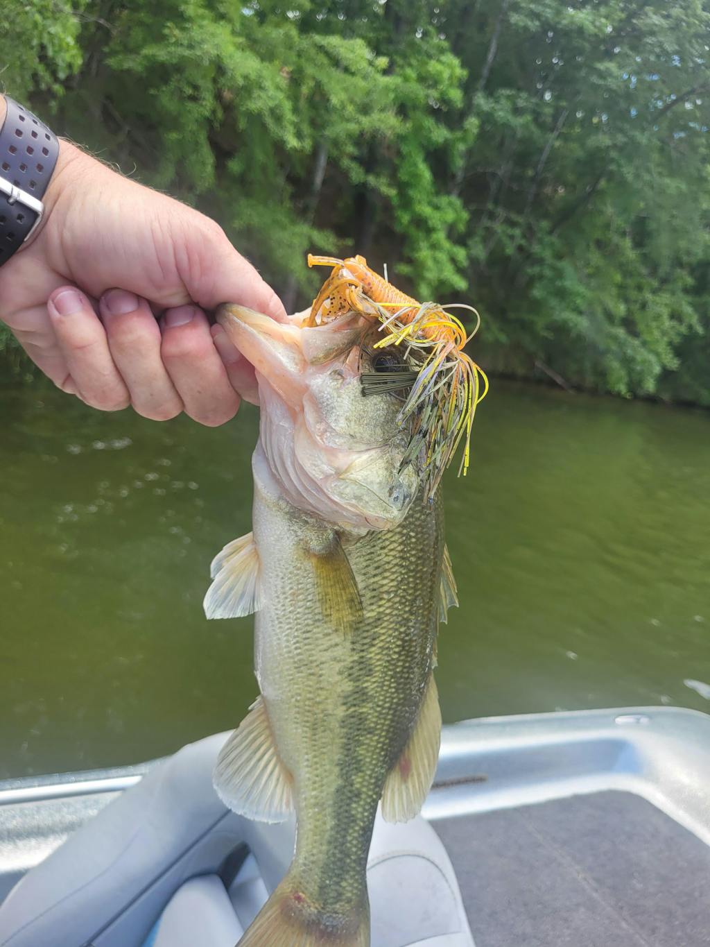 Bluegill Swim Jig Collection – The Fishing Factory