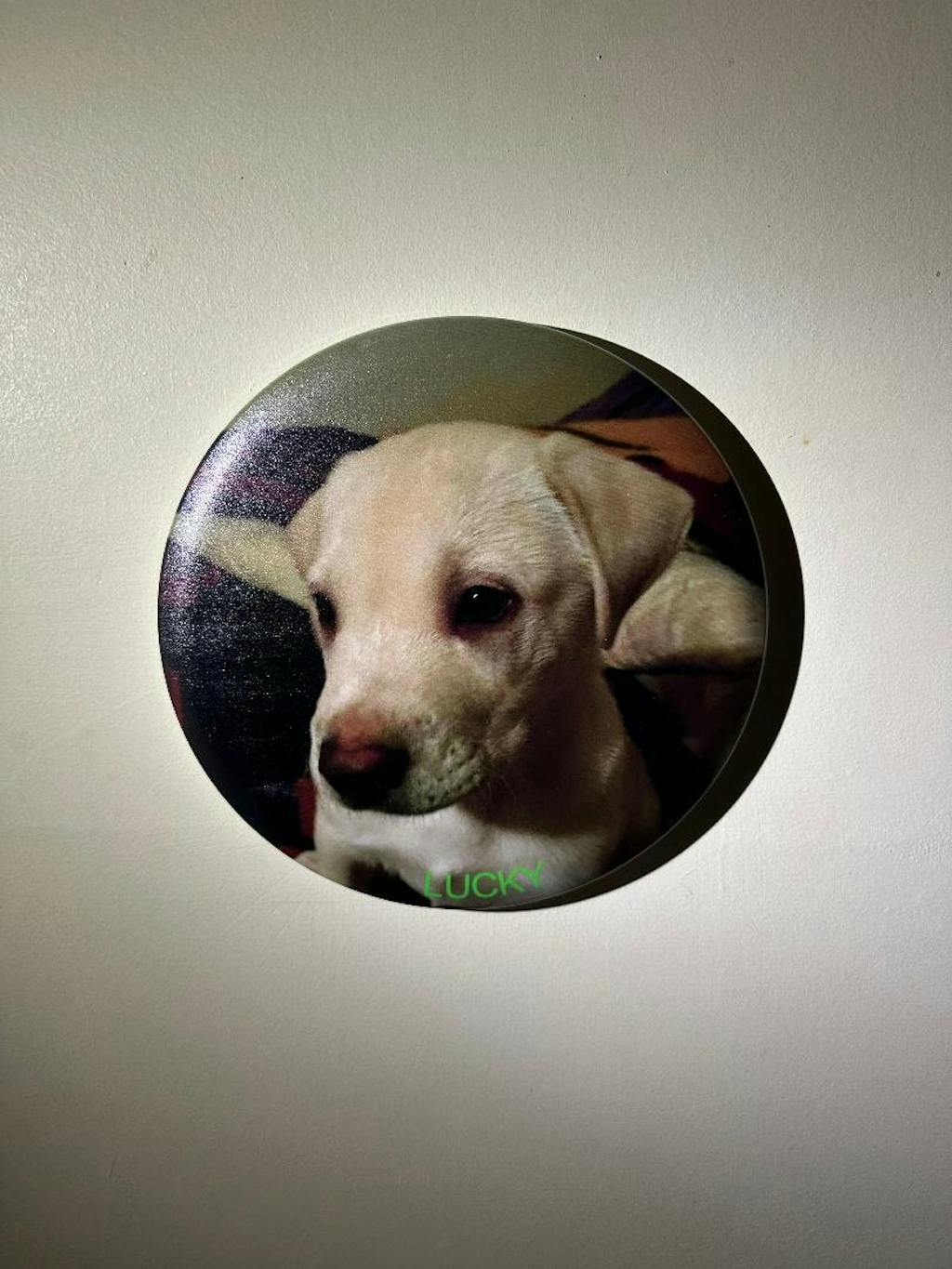 Fully Custom Disc Golf Disc - Disc Golf Swag