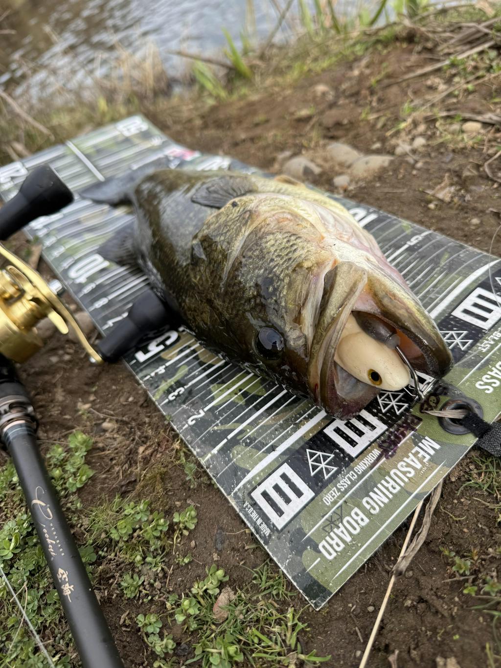 Mule Fishing Supply Co. — Discount Tackle