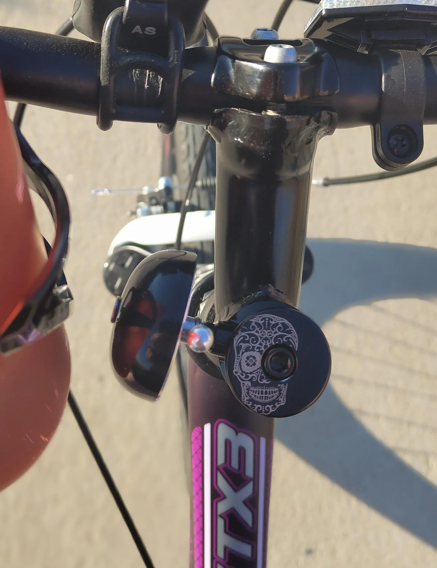 Vía de Muertos Sugar Skull Custom Bicycle Headset Stem Top Cap ...