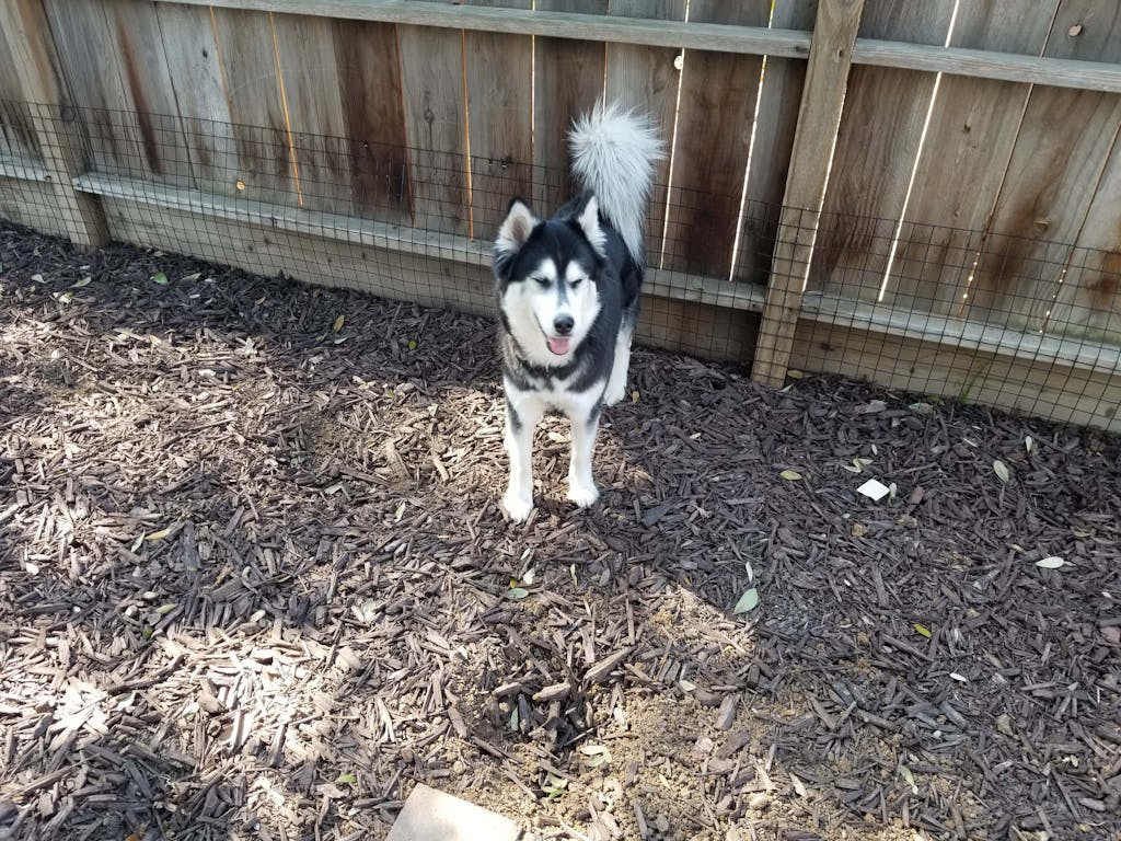 No-Dig Fence For Dogs - Dig Proof Dog Fence Kit | Dog Proofer