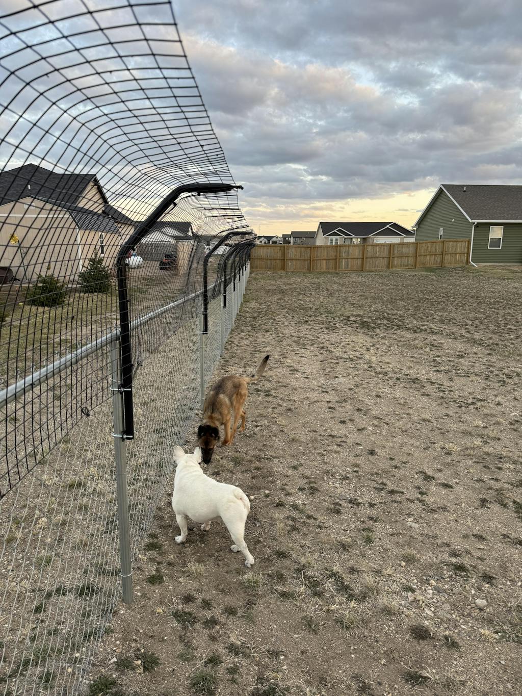 DIY Curved Dog Proof Fence Topper For Houdini Dogs | Dog Proofer