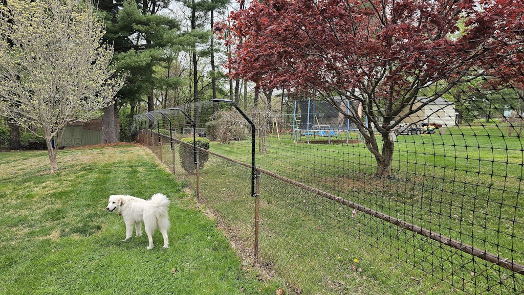 DIY Curved Dog Proof Fence Topper For Houdini Dogs | Dog Proofer