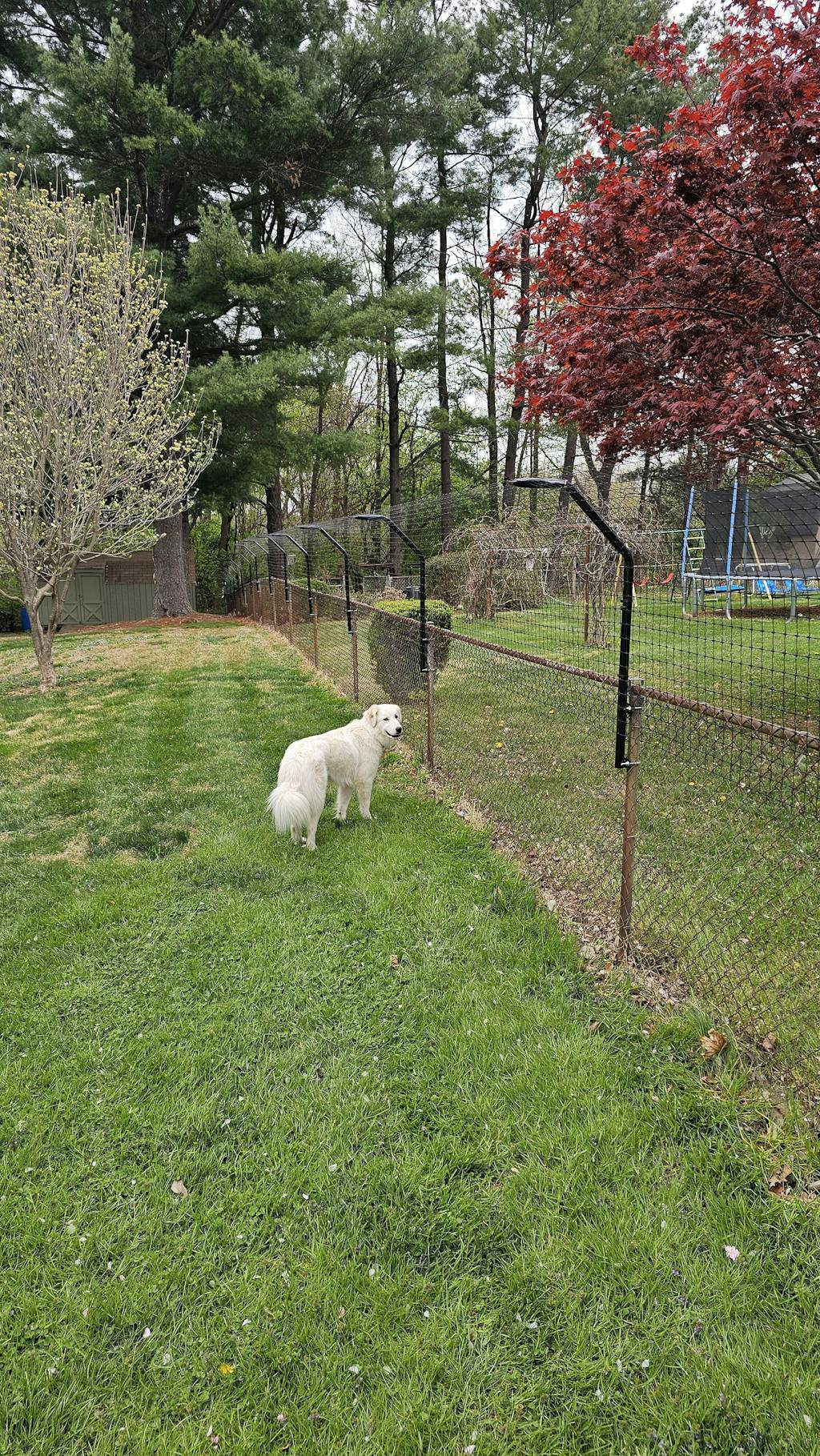 DIY Curved Dog Proof Fence Topper For Houdini Dogs | Dog Proofer