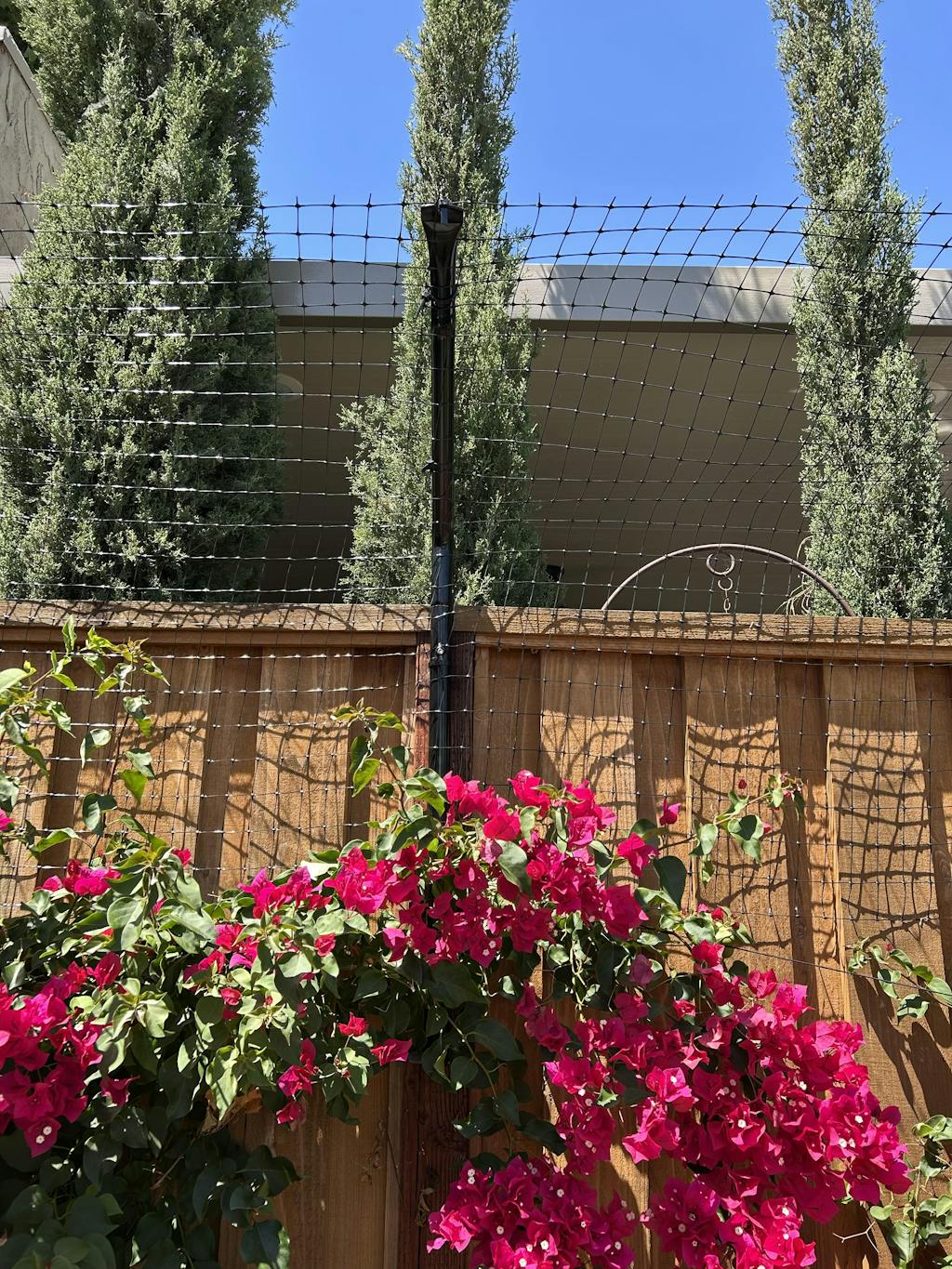 DIY Curved Dog Proof Fence Topper For Houdini Dogs | Dog Proofer