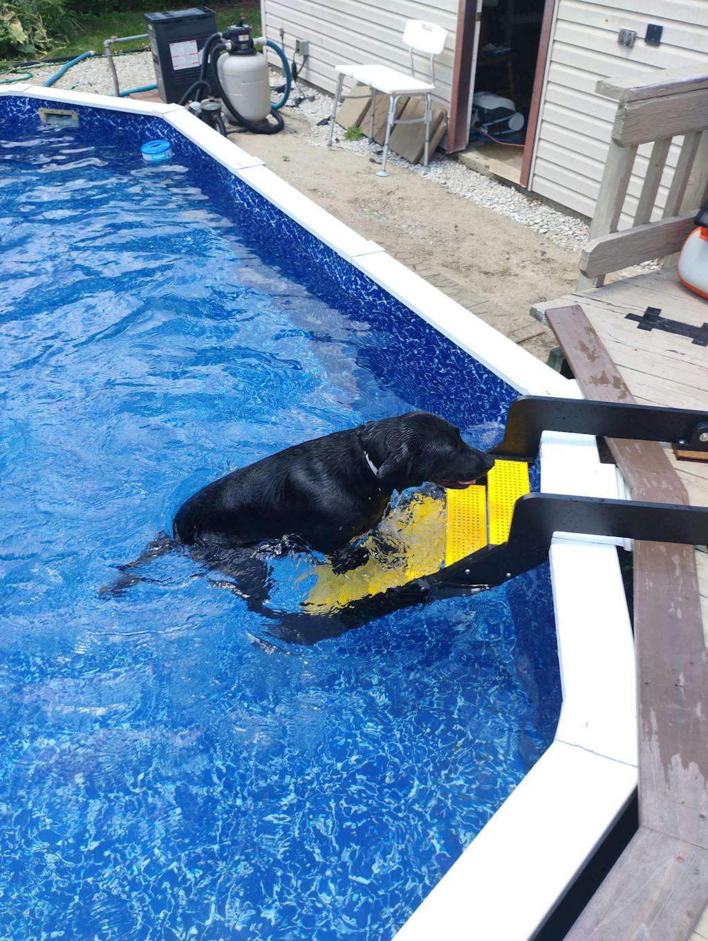 Swimming Pool Ramp/Ladder for Dogs – Dog Proofer