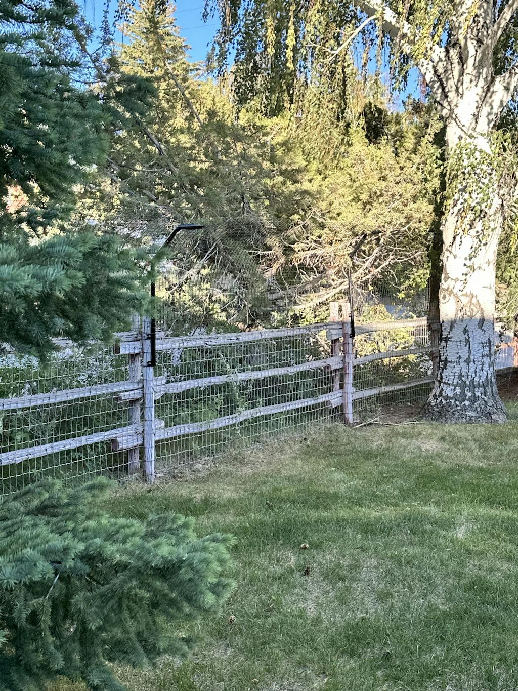 DIY Curved Dog Proof Fence Topper For Houdini Dogs | Dog Proofer