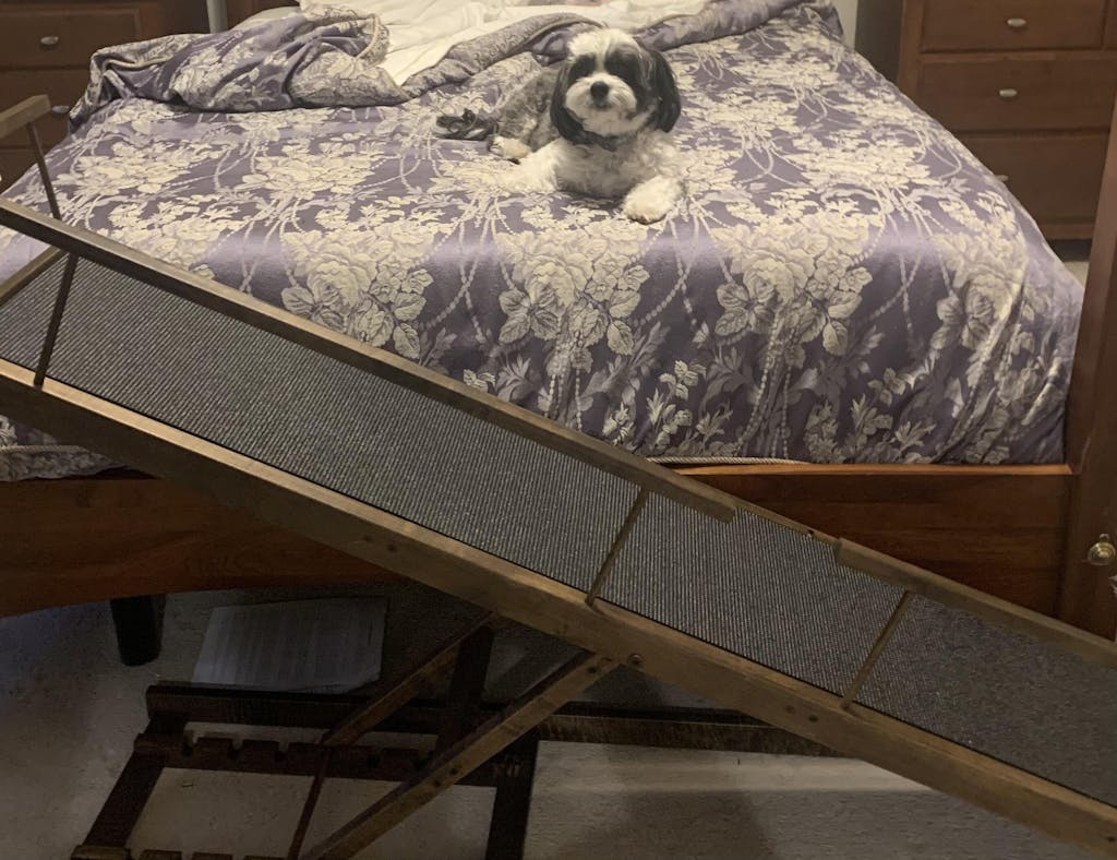 The Small Dog Ramp for Beds, by DoggoRamps™
