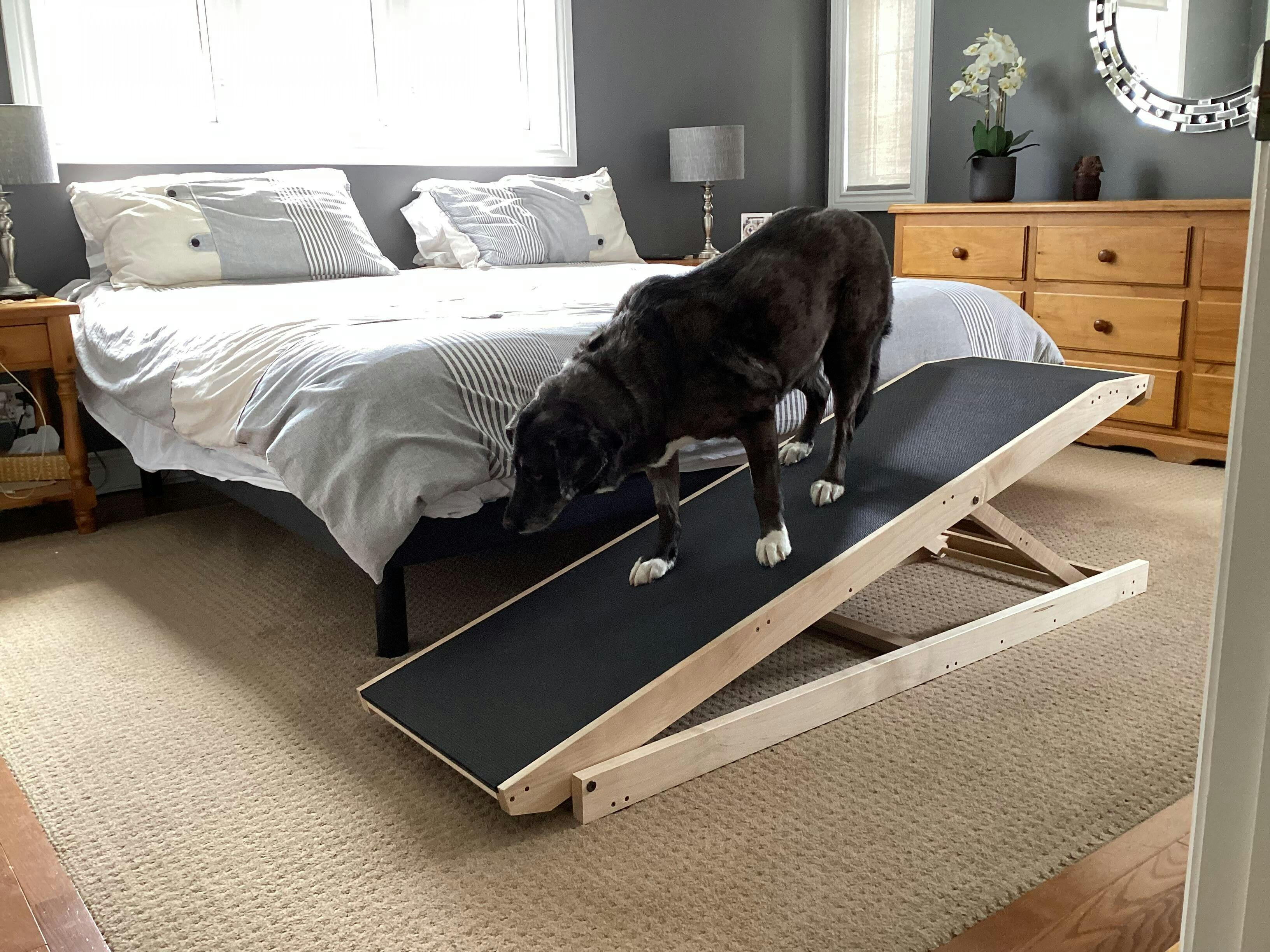 Bed Ramp for Medium & Large Dogs - Adjustable Dog Ramp with Rails