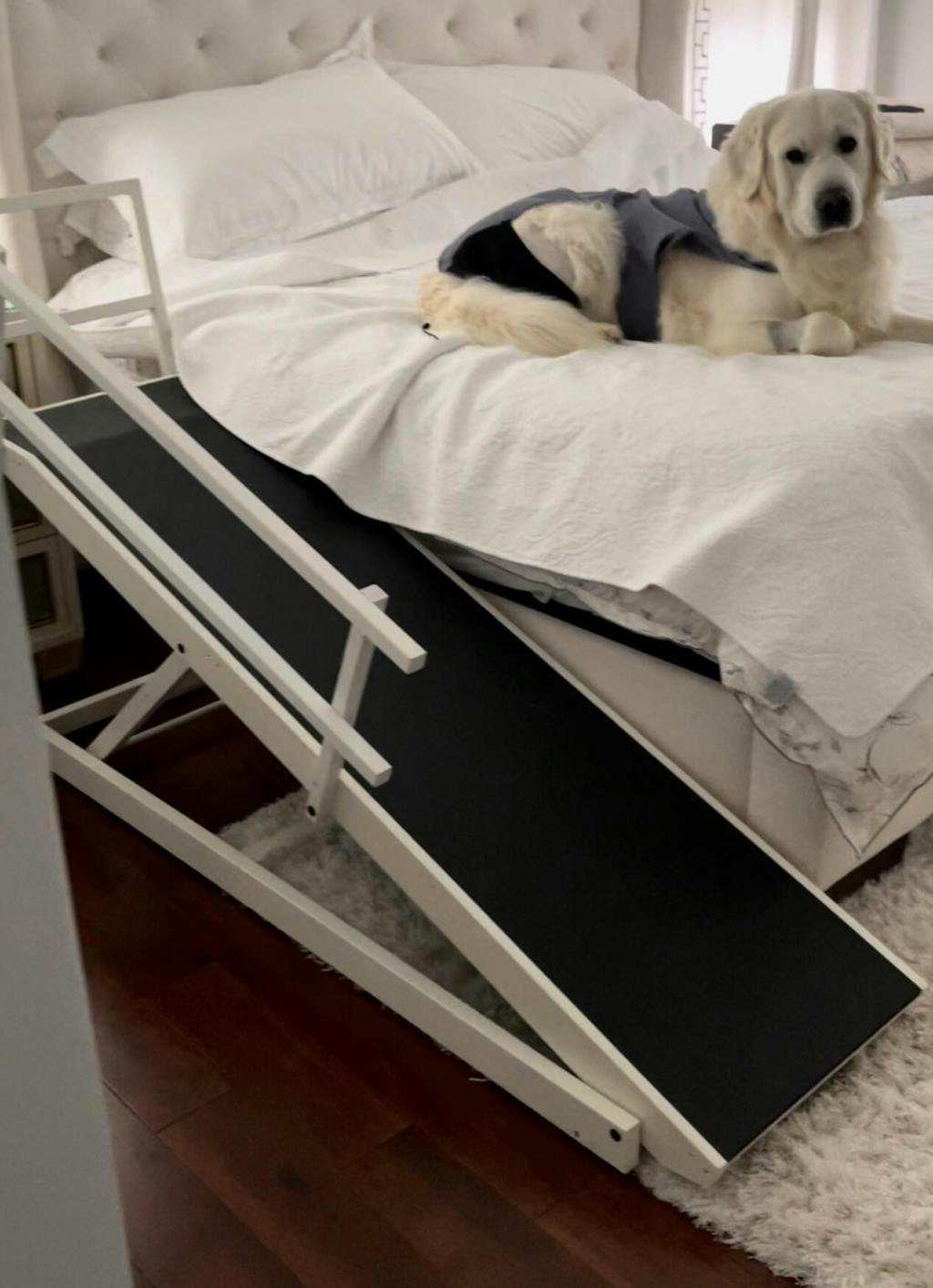 Bed Ramp for Medium & Large Dogs - Adjustable Dog Ramp with Rails