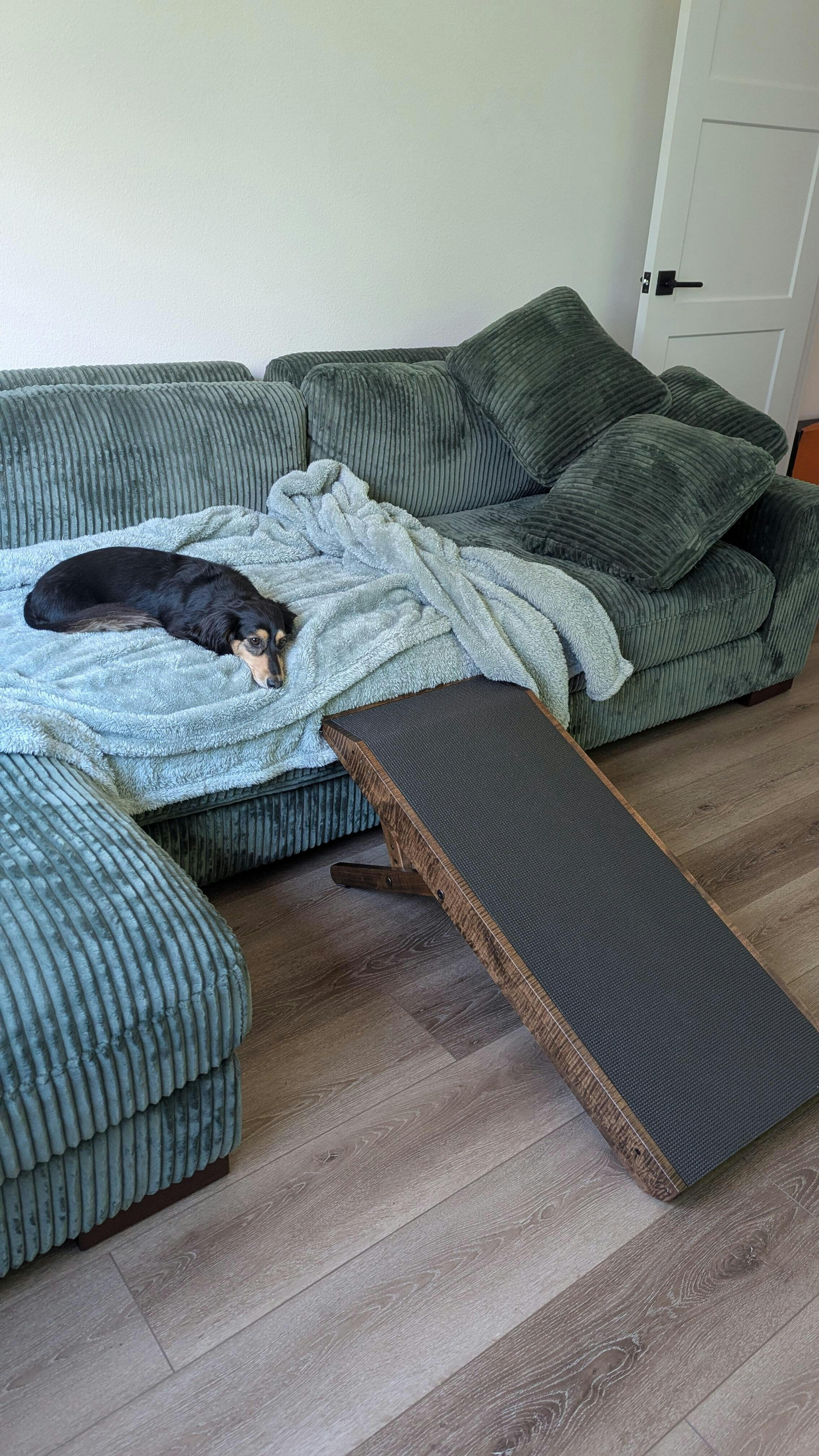 Dog Ramp for Couch with Optional Safety Rails - by DoggoRamps™