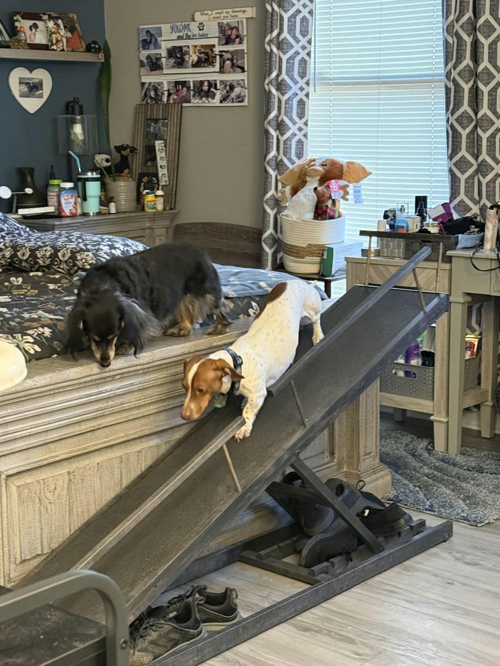 The Small Dog Ramp for Beds, by DoggoRamps™