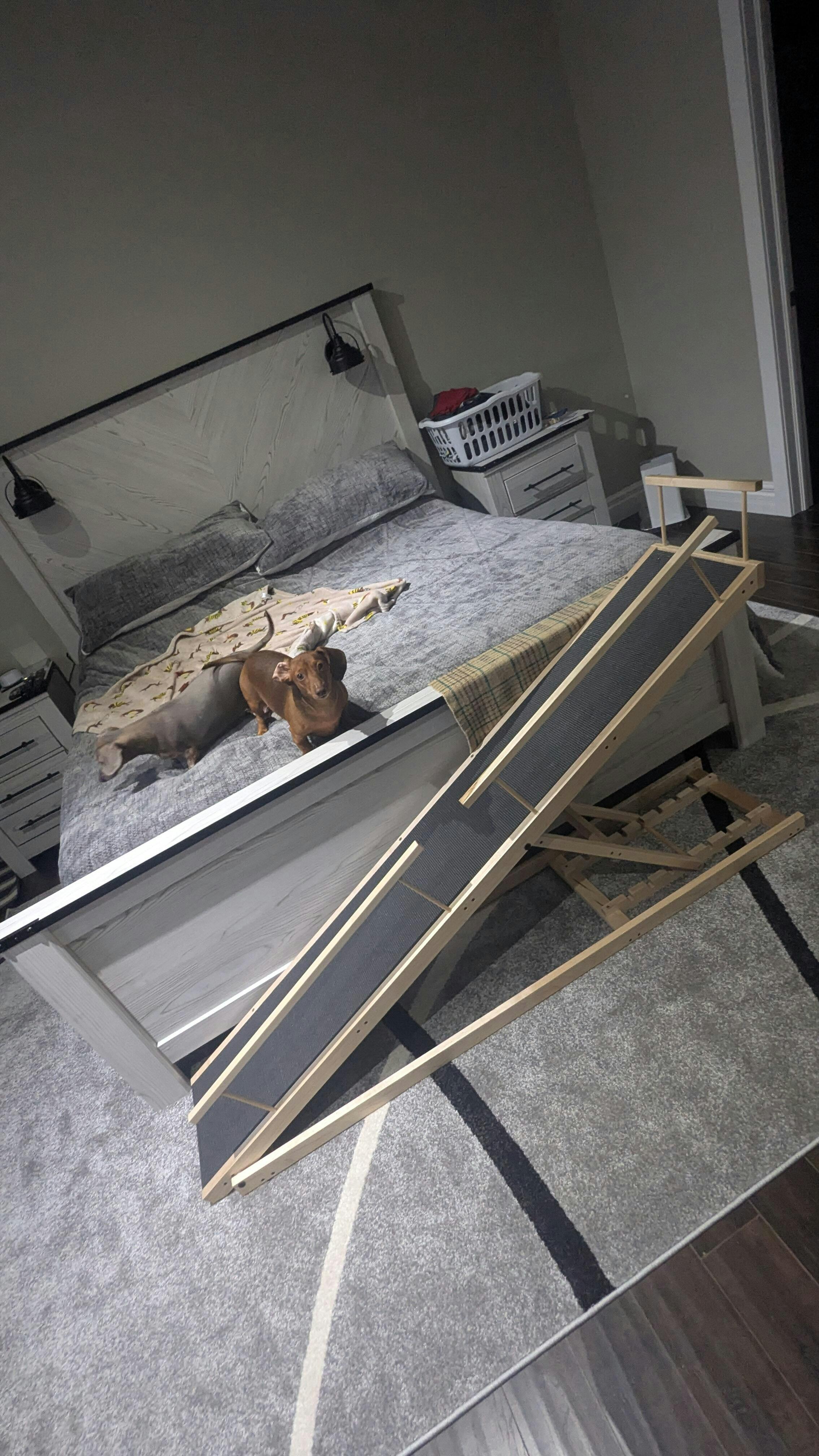 The Small Dog Ramp for Beds, by DoggoRamps™