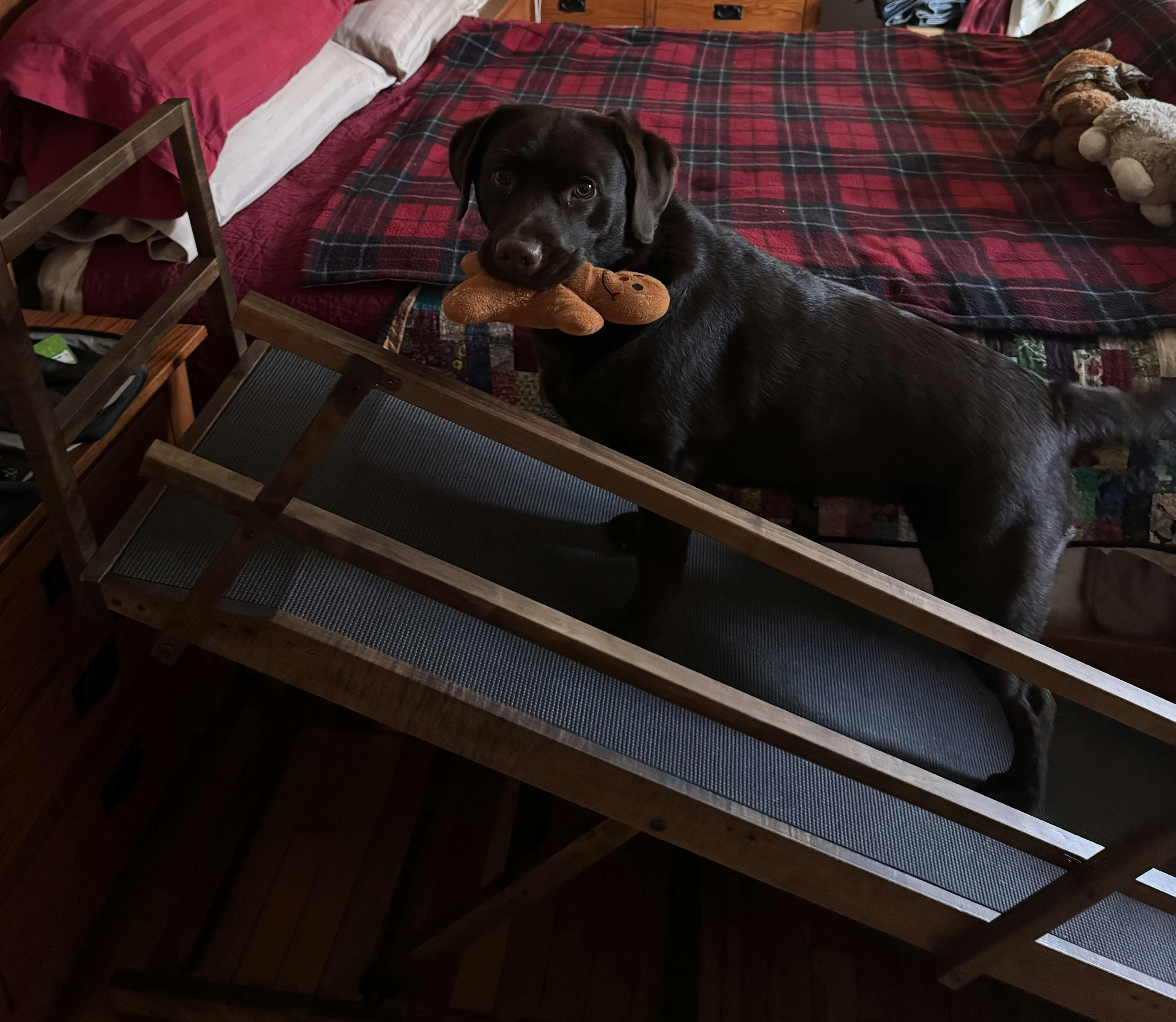 Dog Ramp for Couch with Optional Safety Rails - by DoggoRamps™