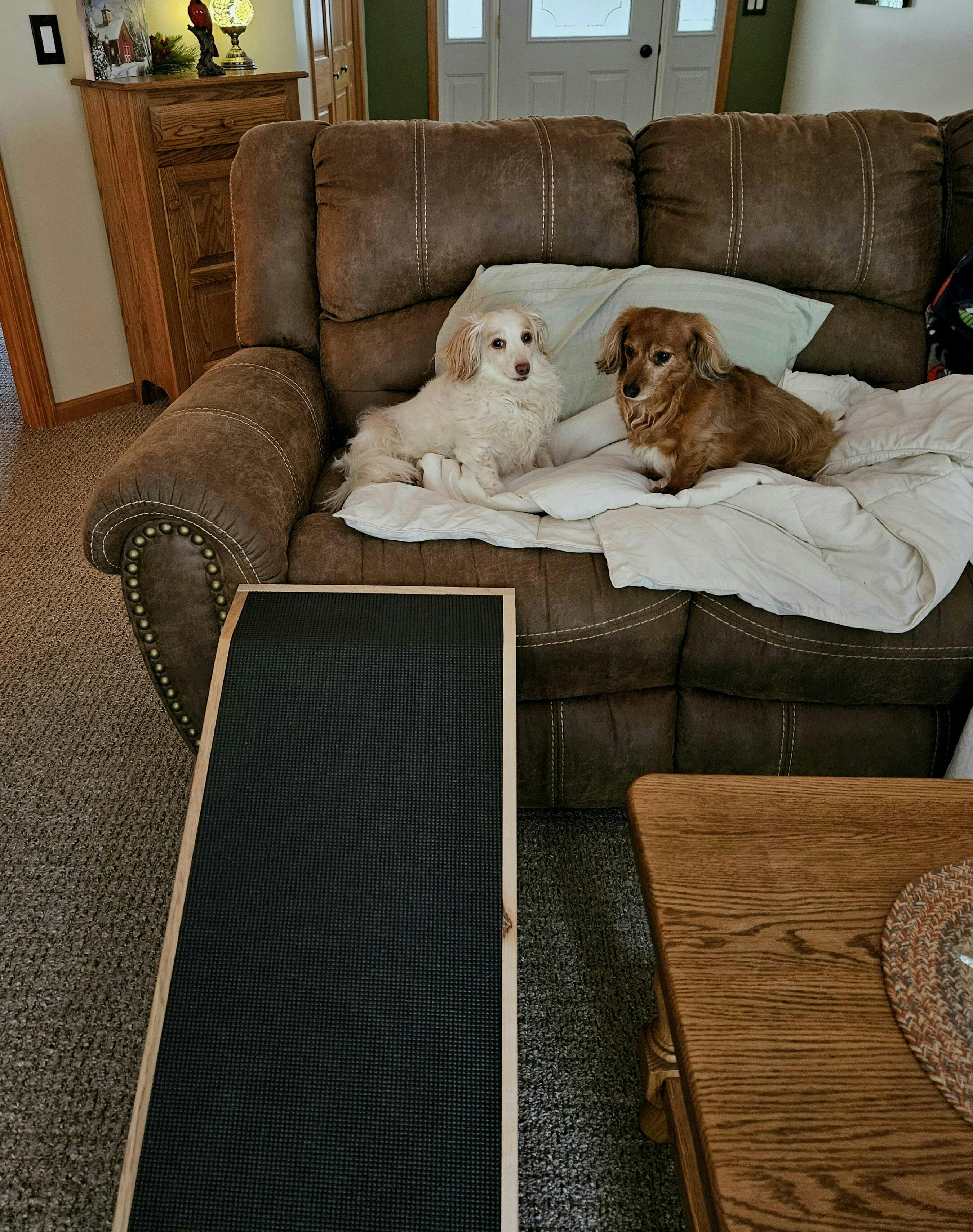 Dog Ramp for Couch with Optional Safety Rails - by DoggoRamps™