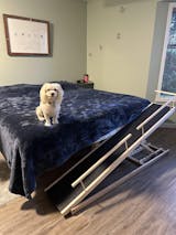 The Small Dog Ramp for Beds, by DoggoRamps™
