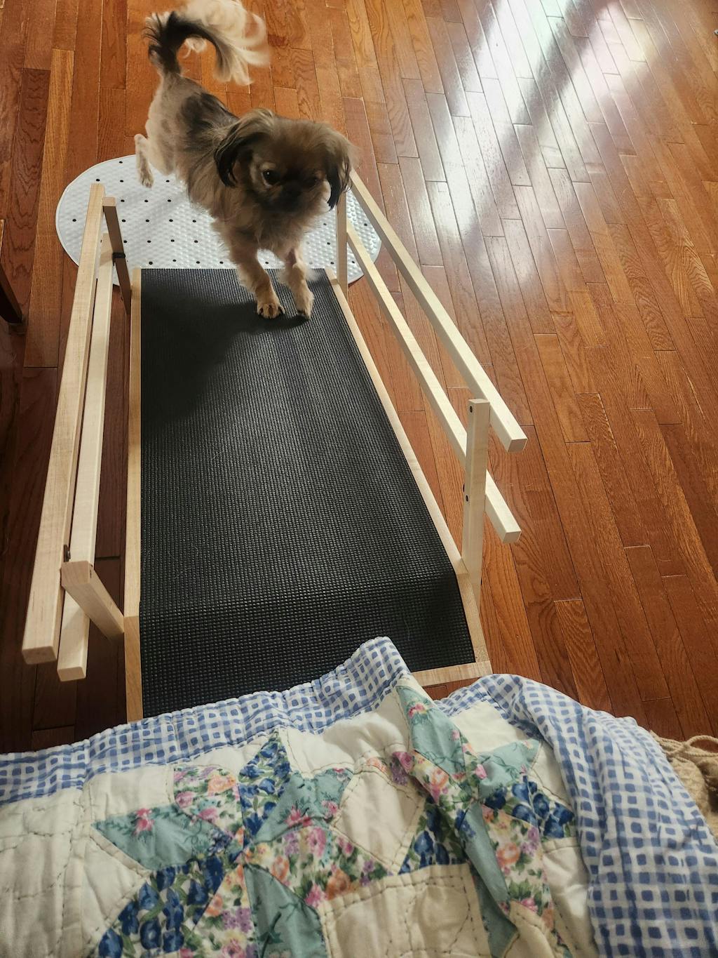 Dog Ramp for Couch with Optional Safety Rails - by DoggoRamps™