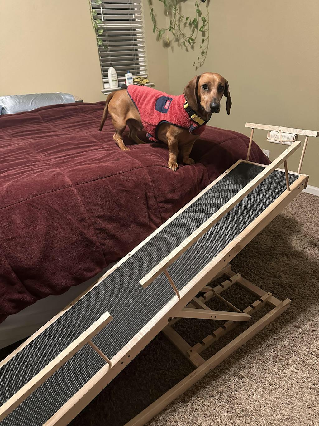 The Small Dog Ramp for Beds, by DoggoRamps™