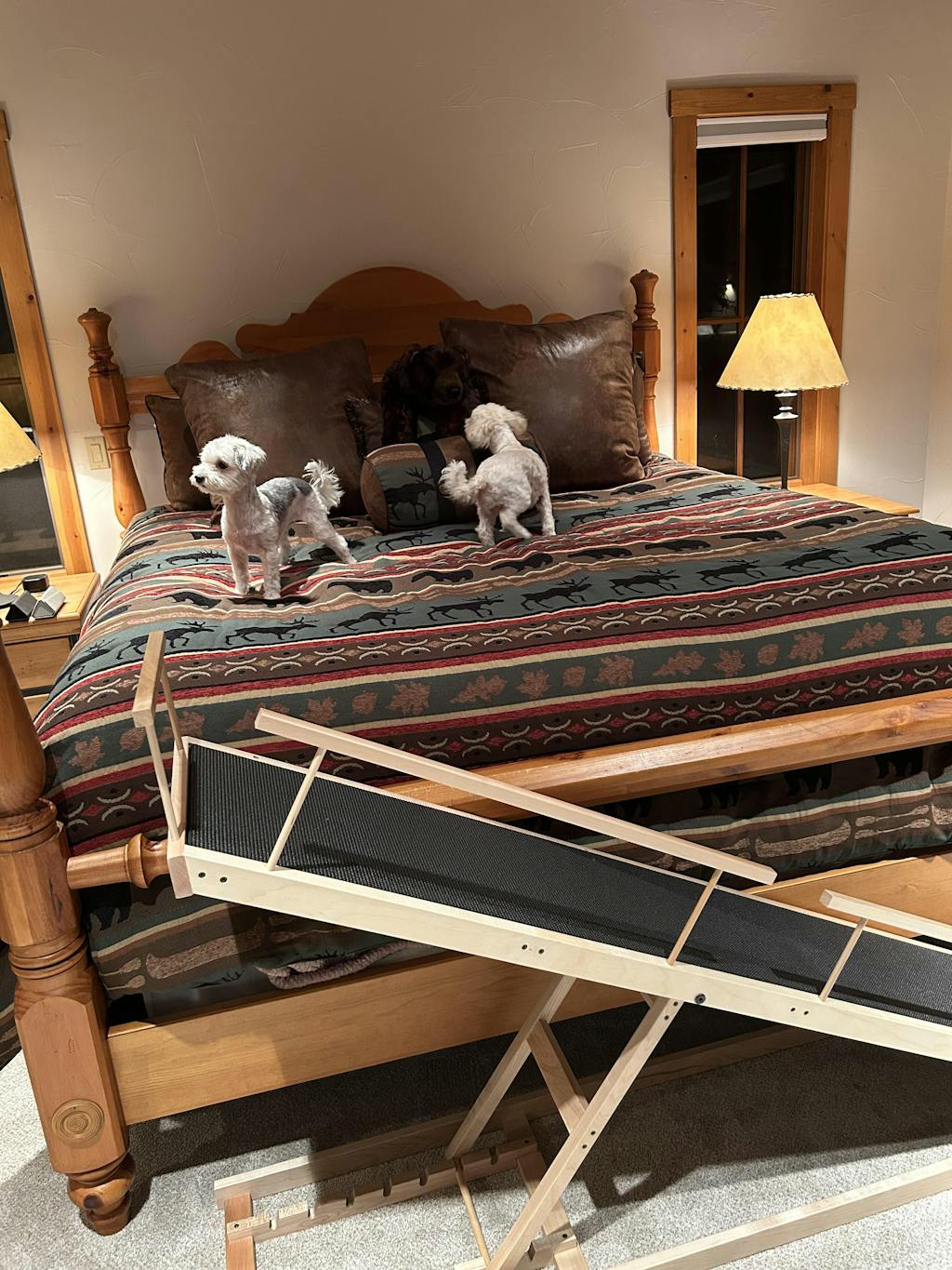 The Small Dog Ramp for Beds, by DoggoRamps™