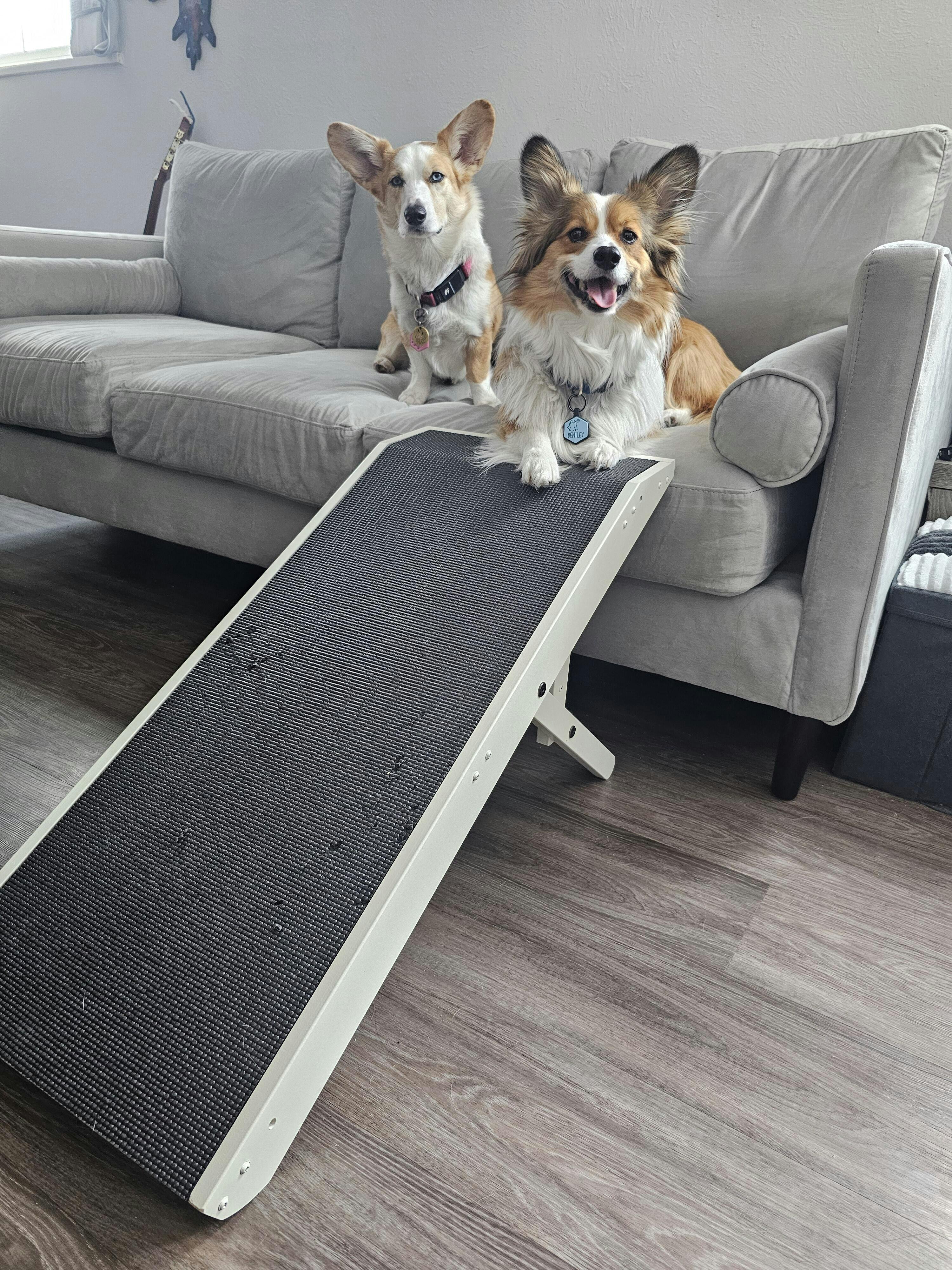 Dog Ramp for Couch with Optional Safety Rails - by DoggoRamps™