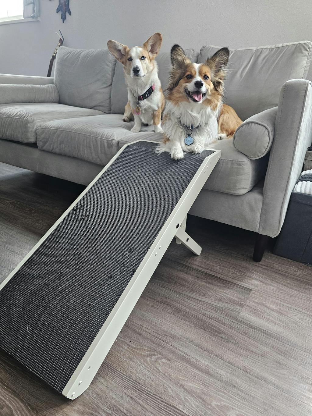 Dog Ramp for Couch with Optional Safety Rails - by DoggoRamps™