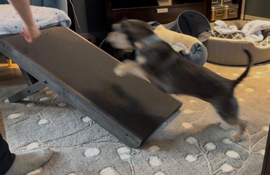 Dog Ramp for Couch with Optional Safety Rails - by DoggoRamps™