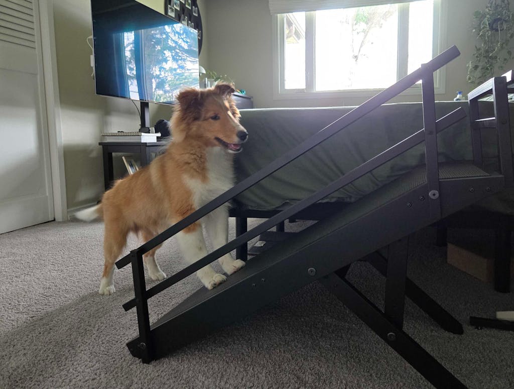 Dog Ramp for Couch with Optional Safety Rails - by DoggoRamps™