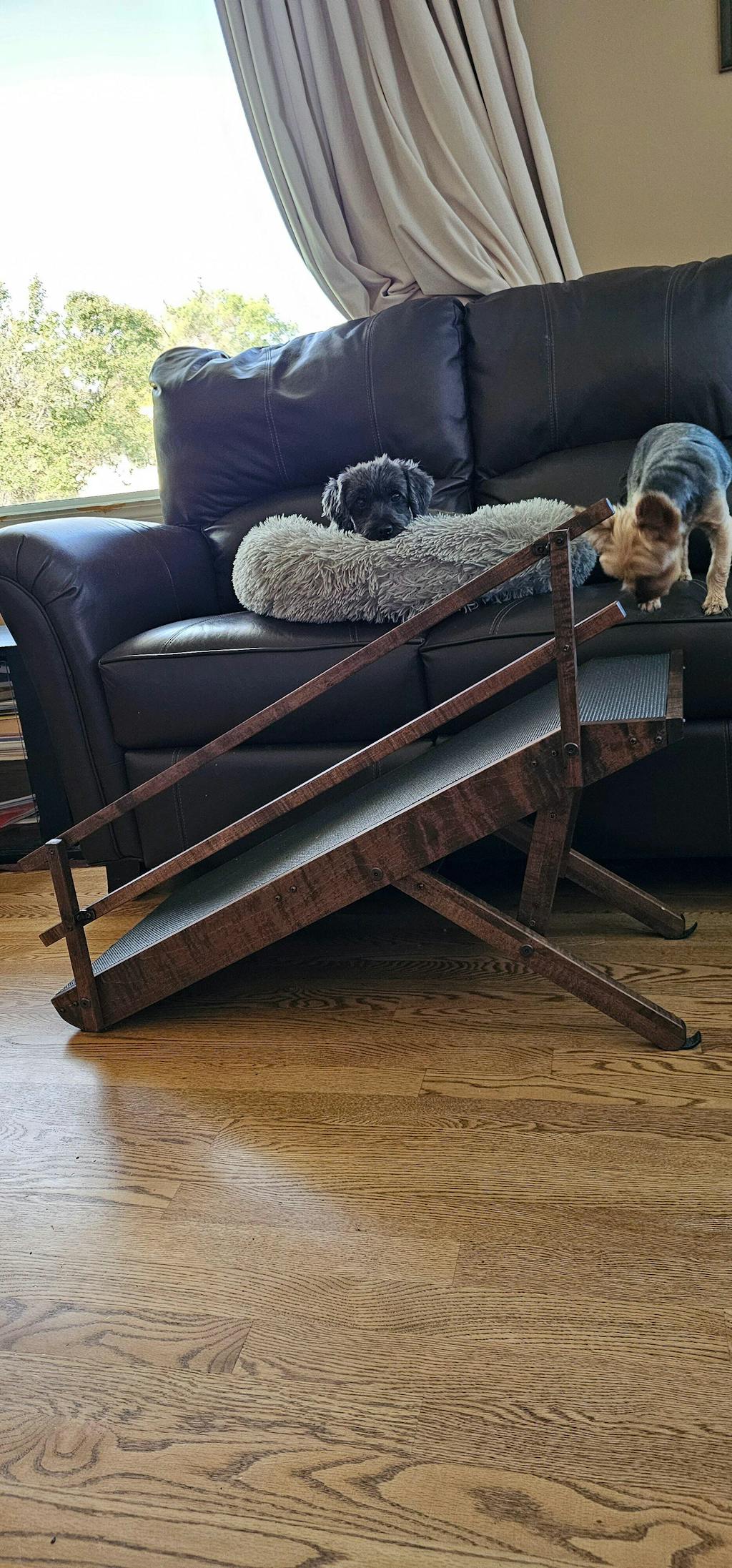 Dog Ramp for Couch with Optional Safety Rails - by DoggoRamps™