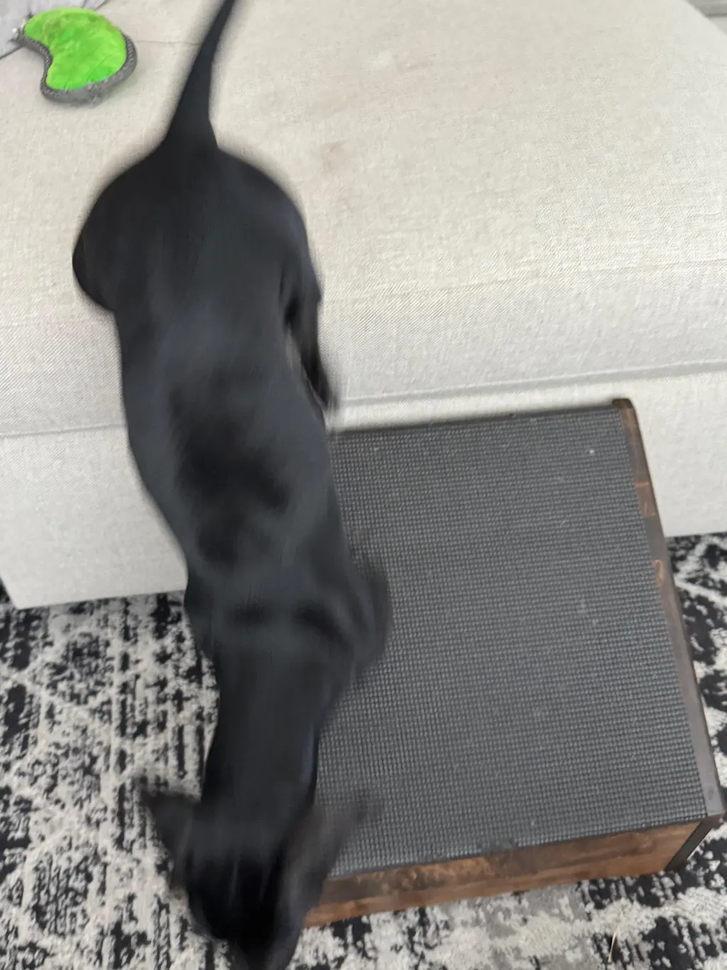 StepRamp For Dogs (Combination Step & Ramp) - Solid Hardwood