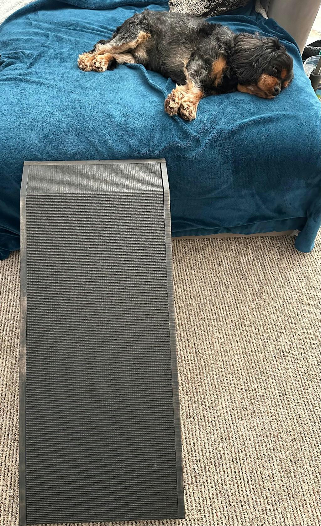 Dog Ramp for Couch with Optional Safety Rails - by DoggoRamps™
